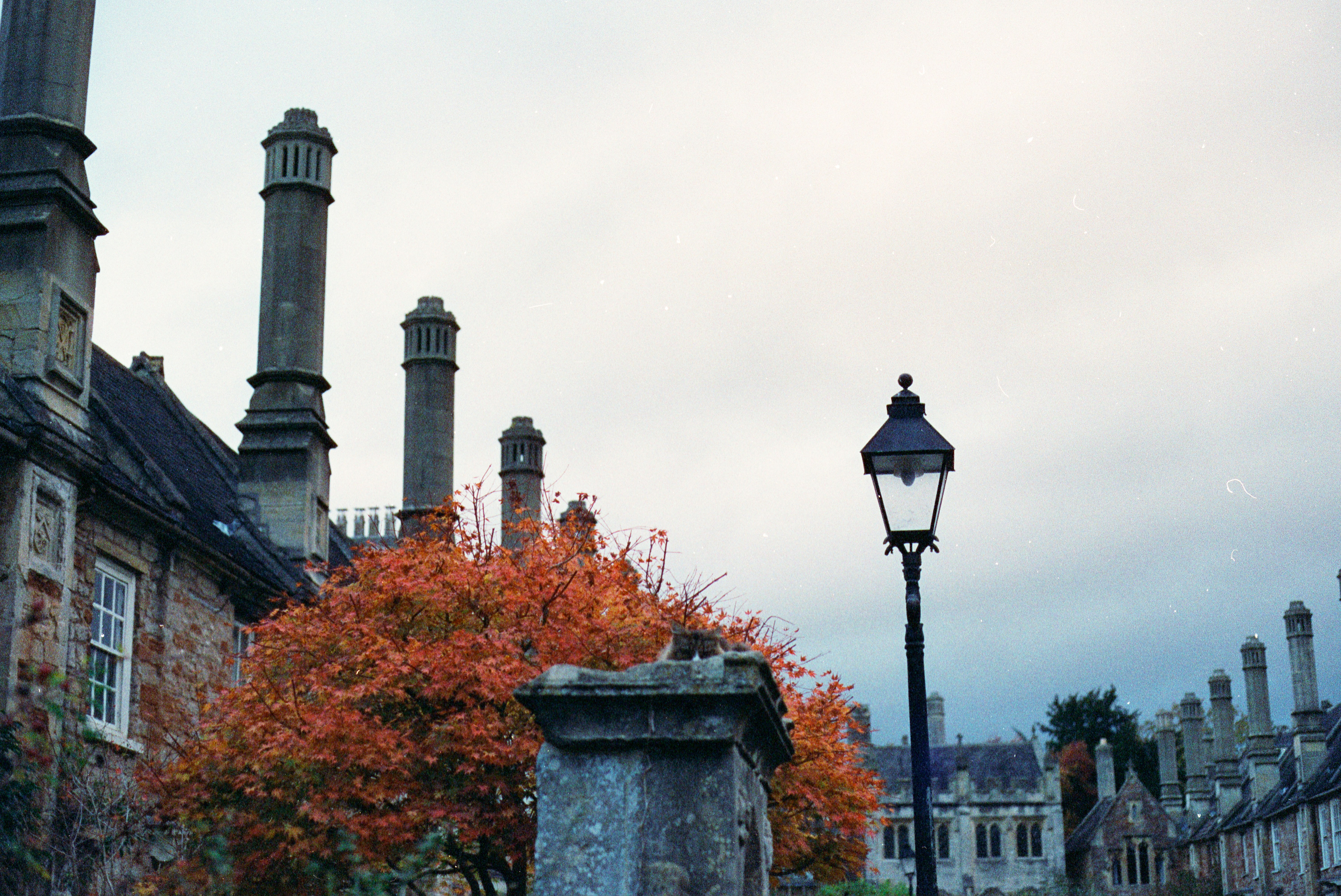 Crimson Canopy Over a Limestone Courtyard at Dusk