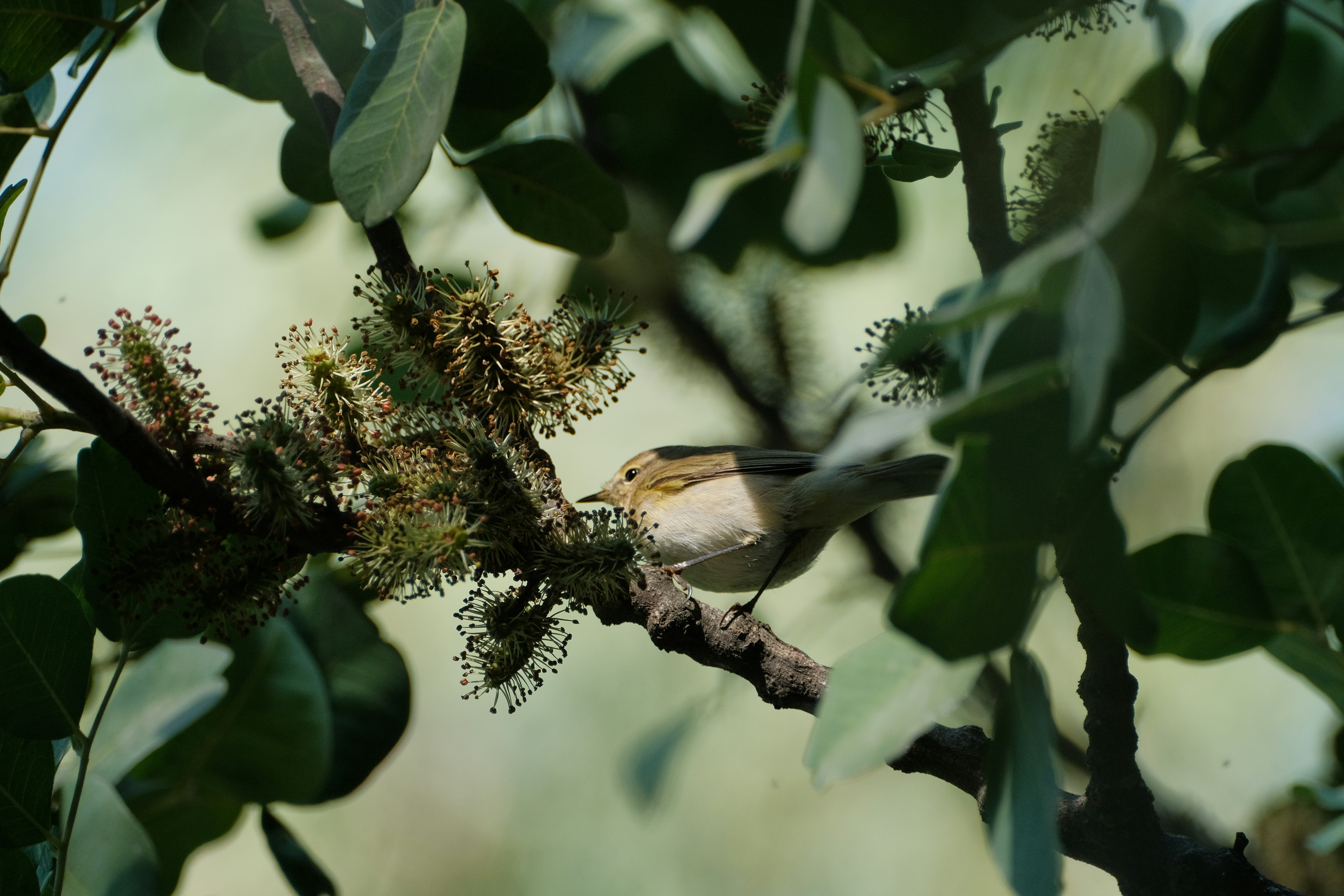 Photo by Roman Kravtsov with Fujifilm X-T30 II