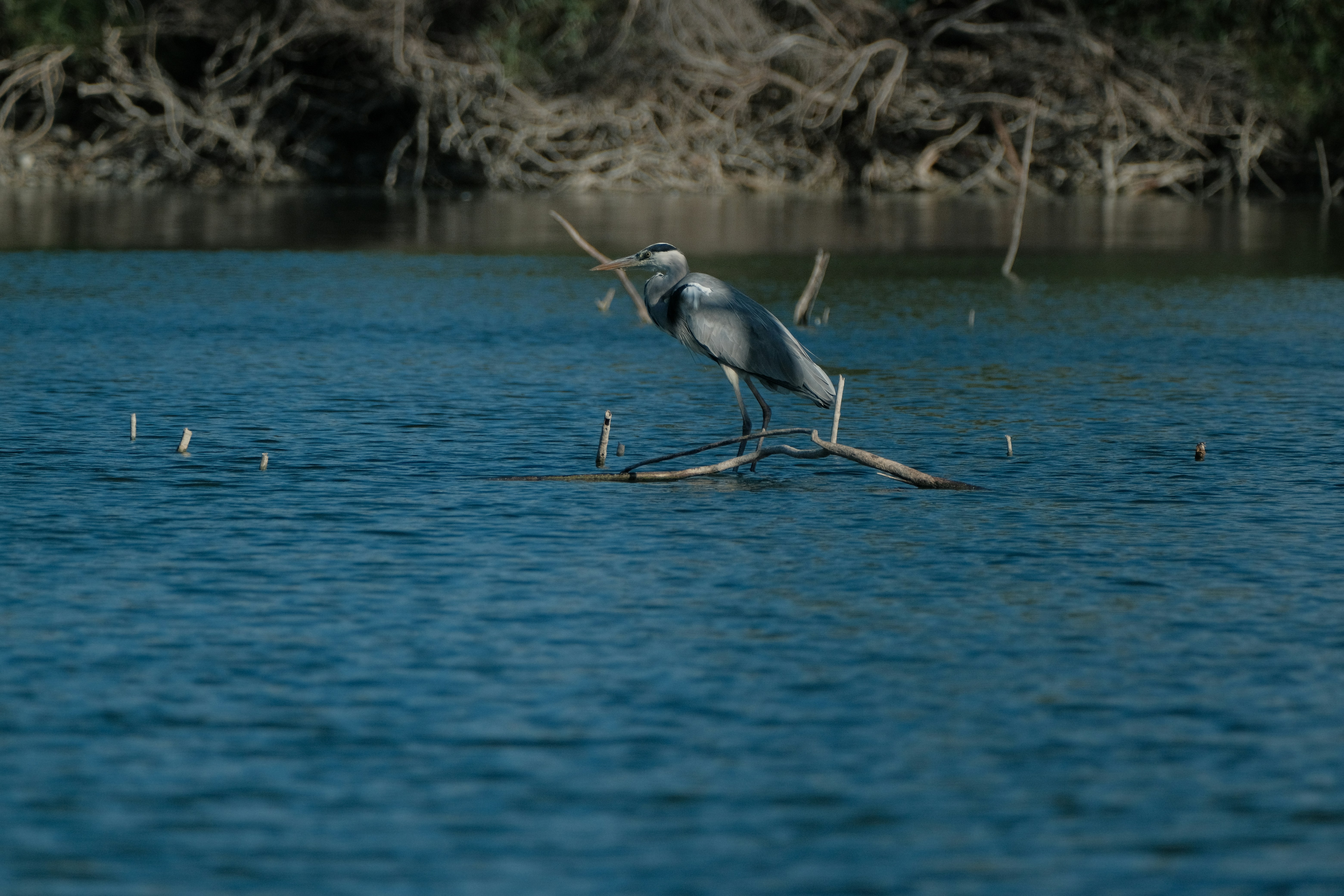 Photo by Roman Kravtsov with Fujifilm X-T30 II