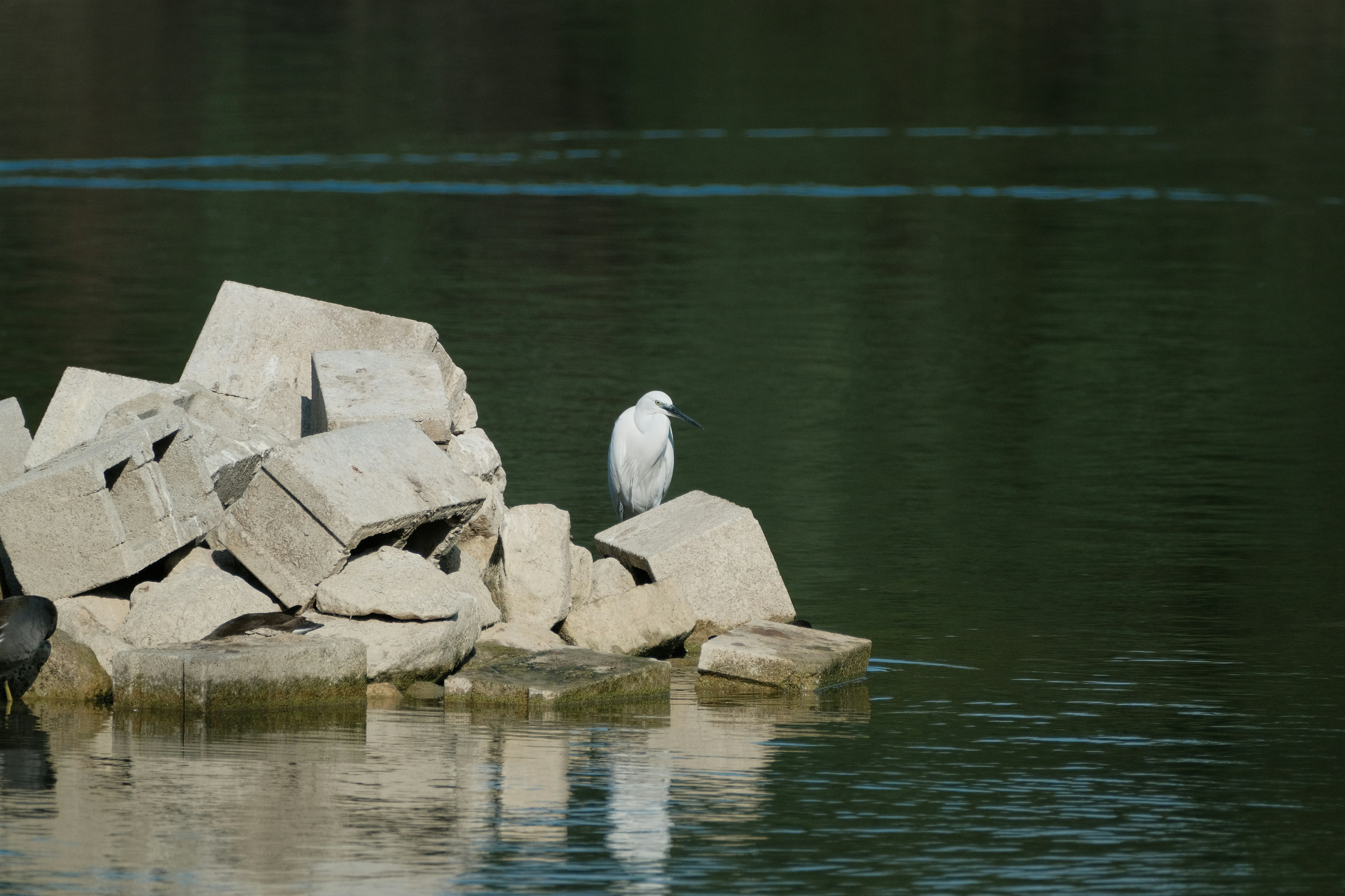 Photo by Roman Kravtsov with Fujifilm X-T30 II