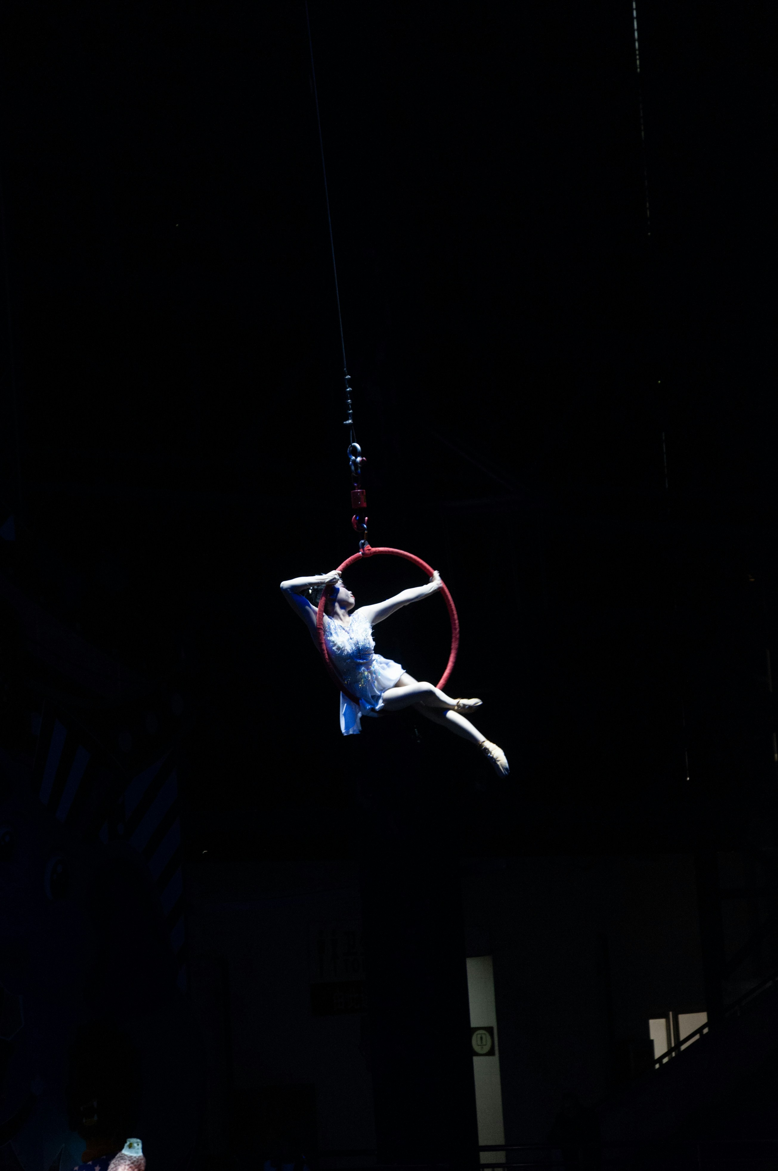 Photo by Mango Gong with Nikon D300