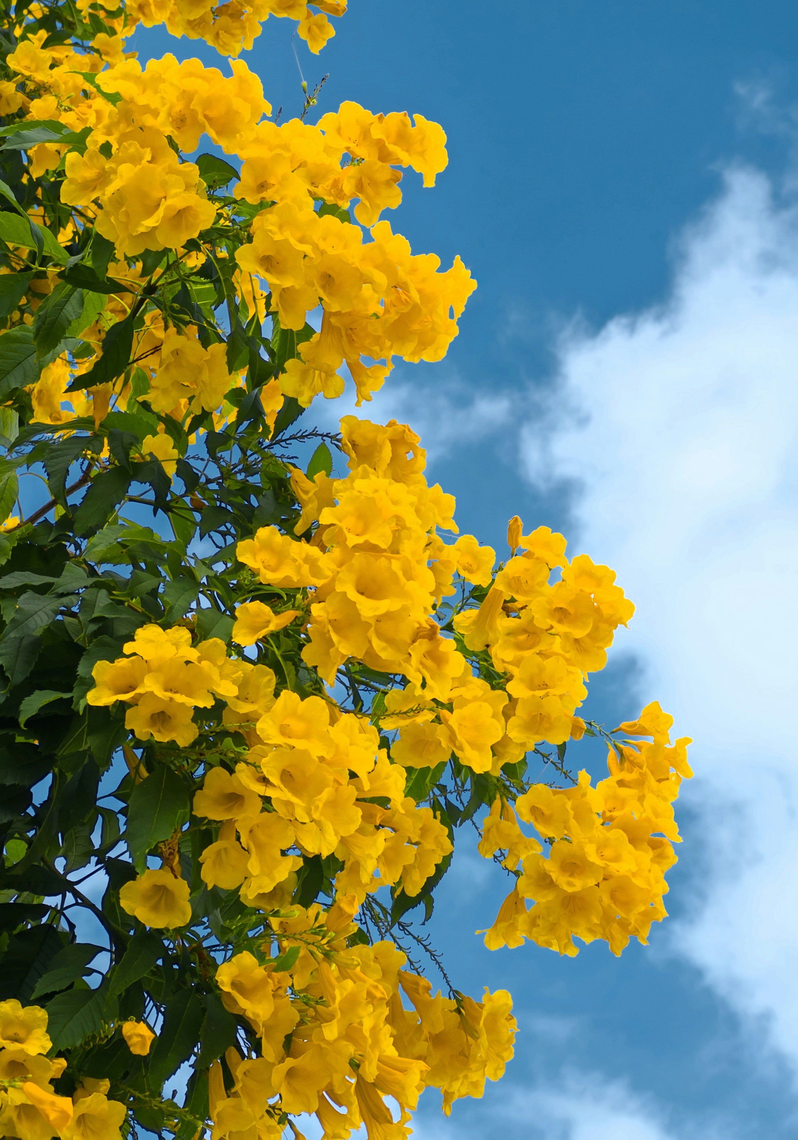 Edward Chou (@edward_cchou) | Comunidade de fotos da Unsplash