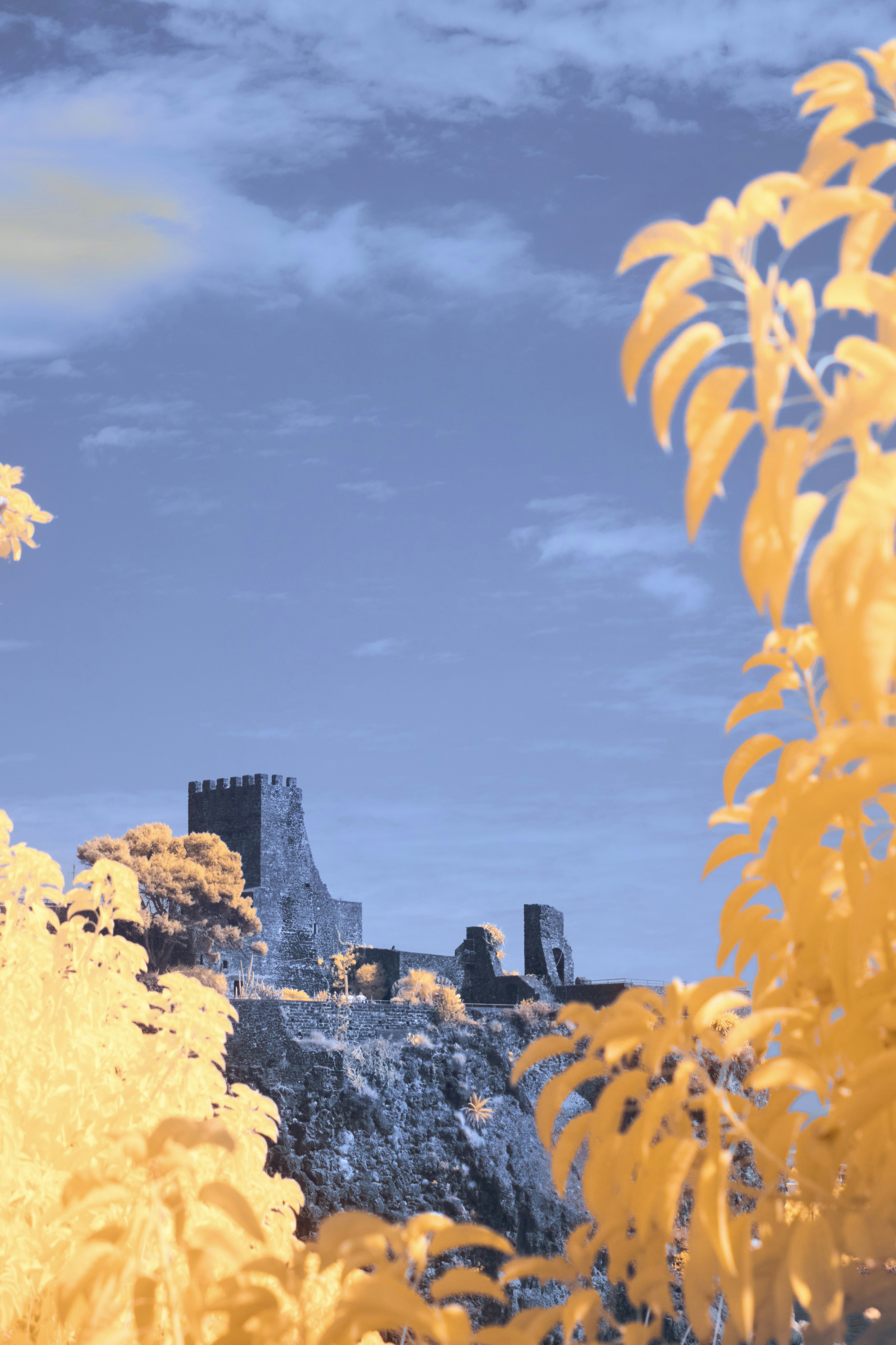 Photo by Wolfgang Hasselmann with Sony Alpha 7 IV