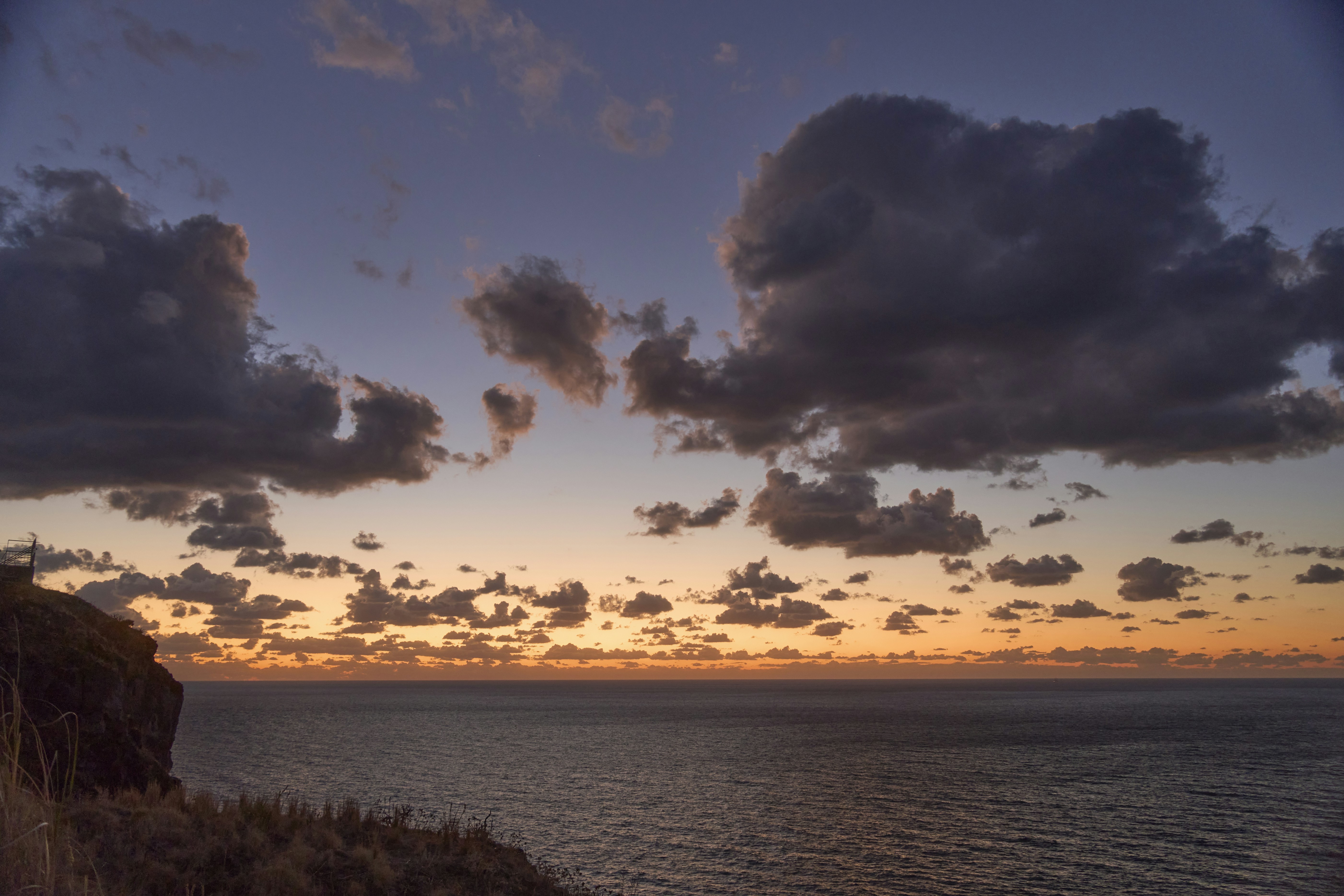 Photo by Wolfgang Hasselmann with Sony Alpha 7 IV