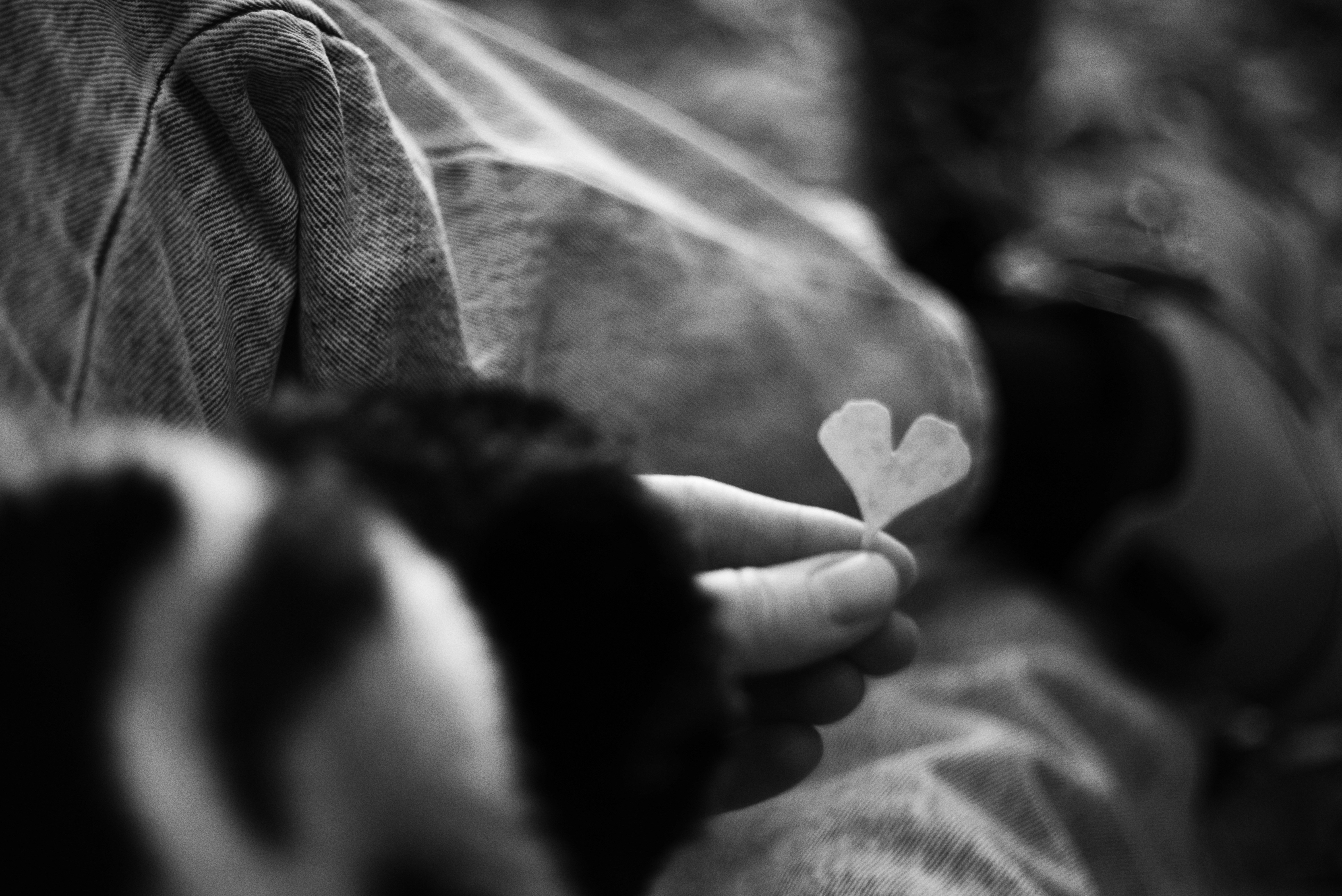 Monochrome Moment: A Tiny Heart Between Fingers