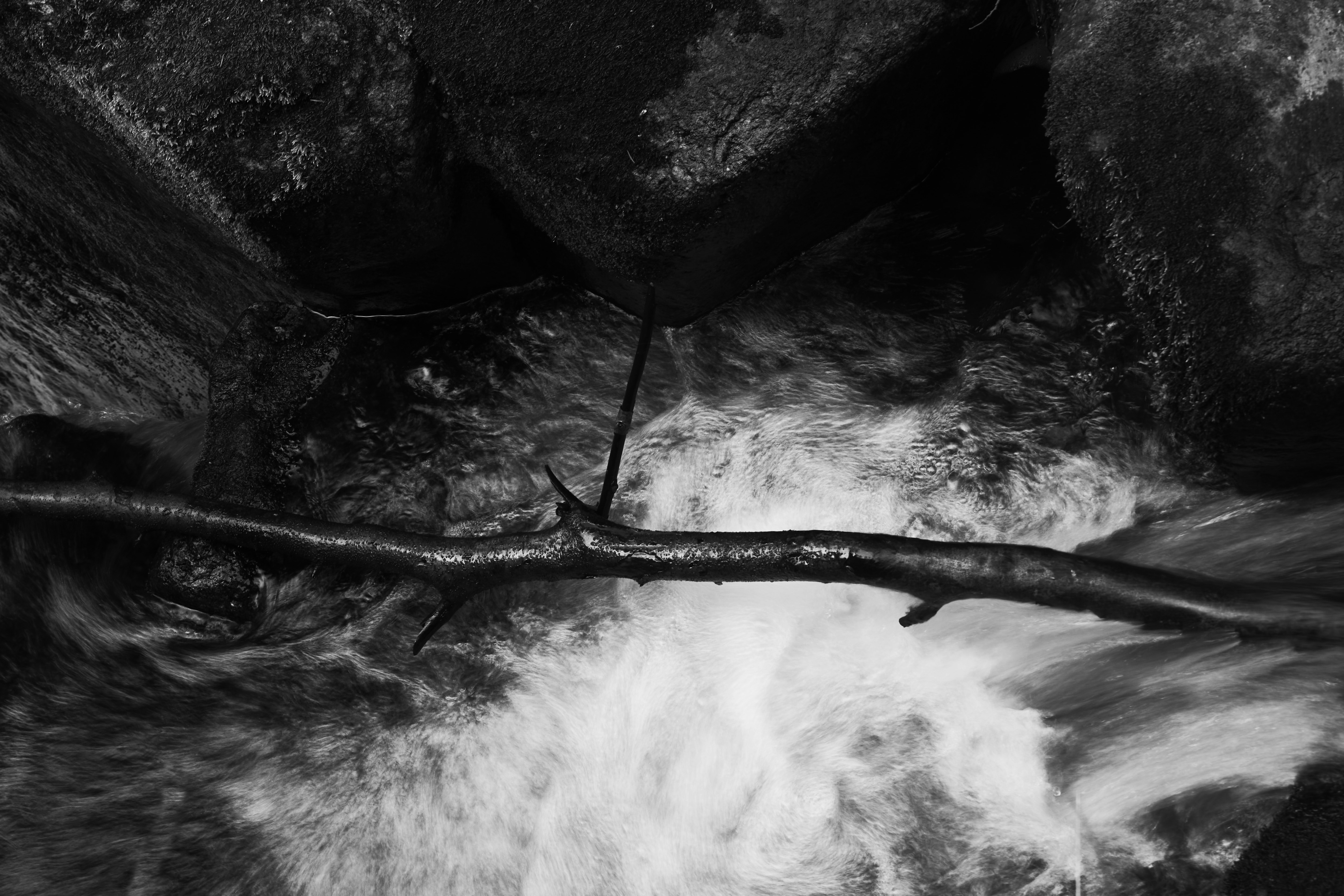 Photo by Wolfgang Hasselmann with Sony Alpha 7 IV