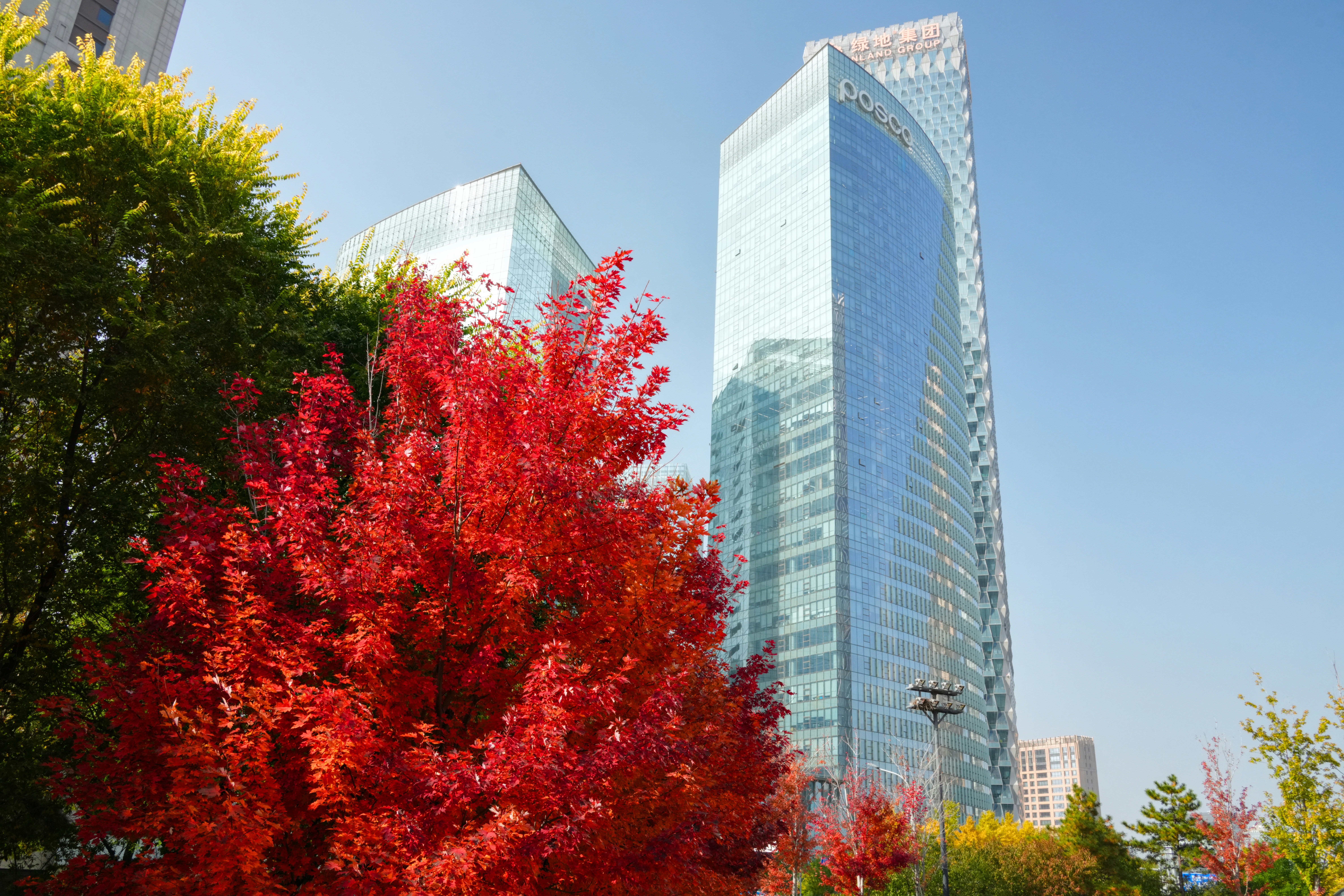 Photo by Hat Trick with Sony Alpha 7C R