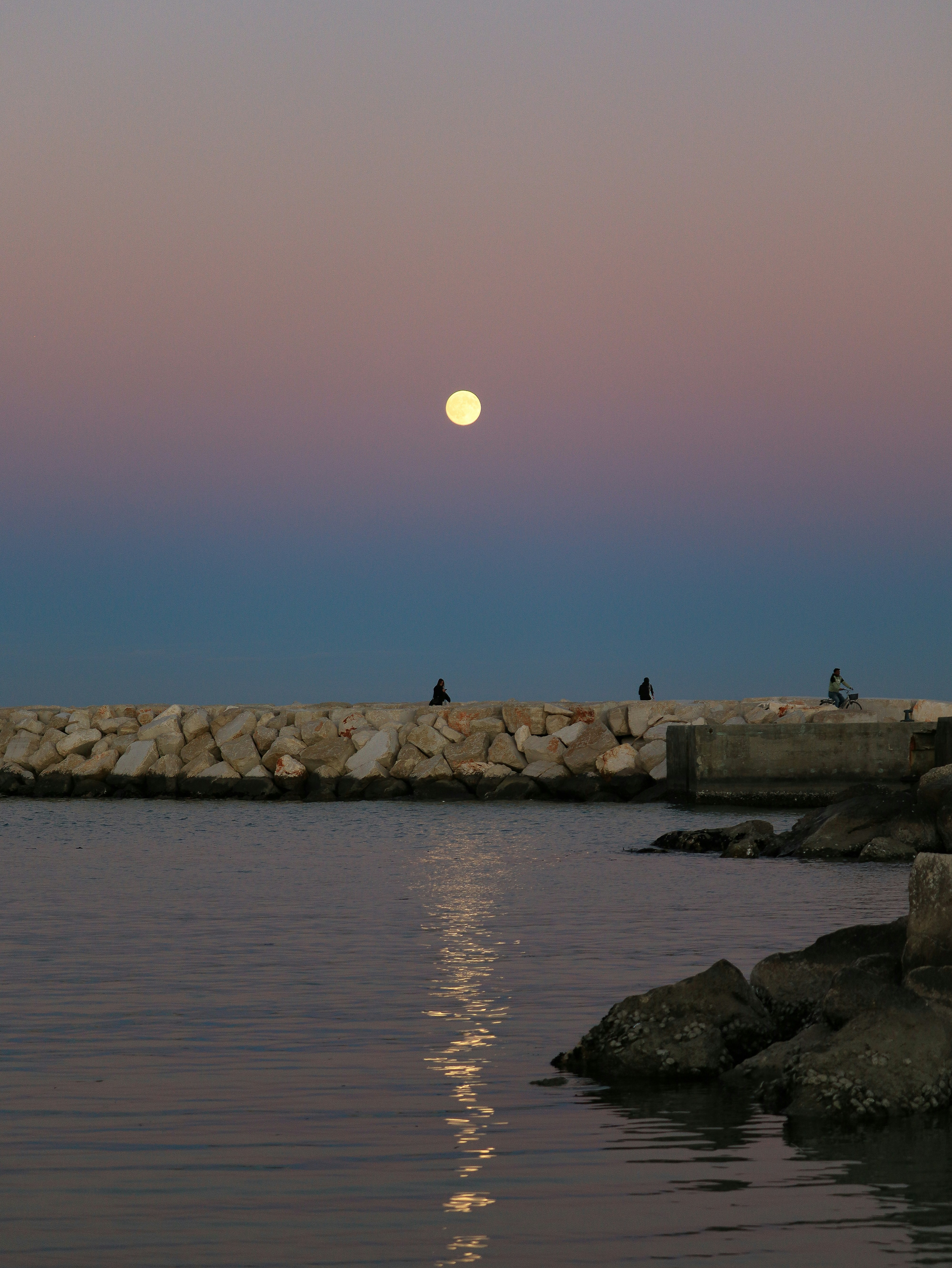 Moonrise Over the Breakwater: Dusk on Calm Waters