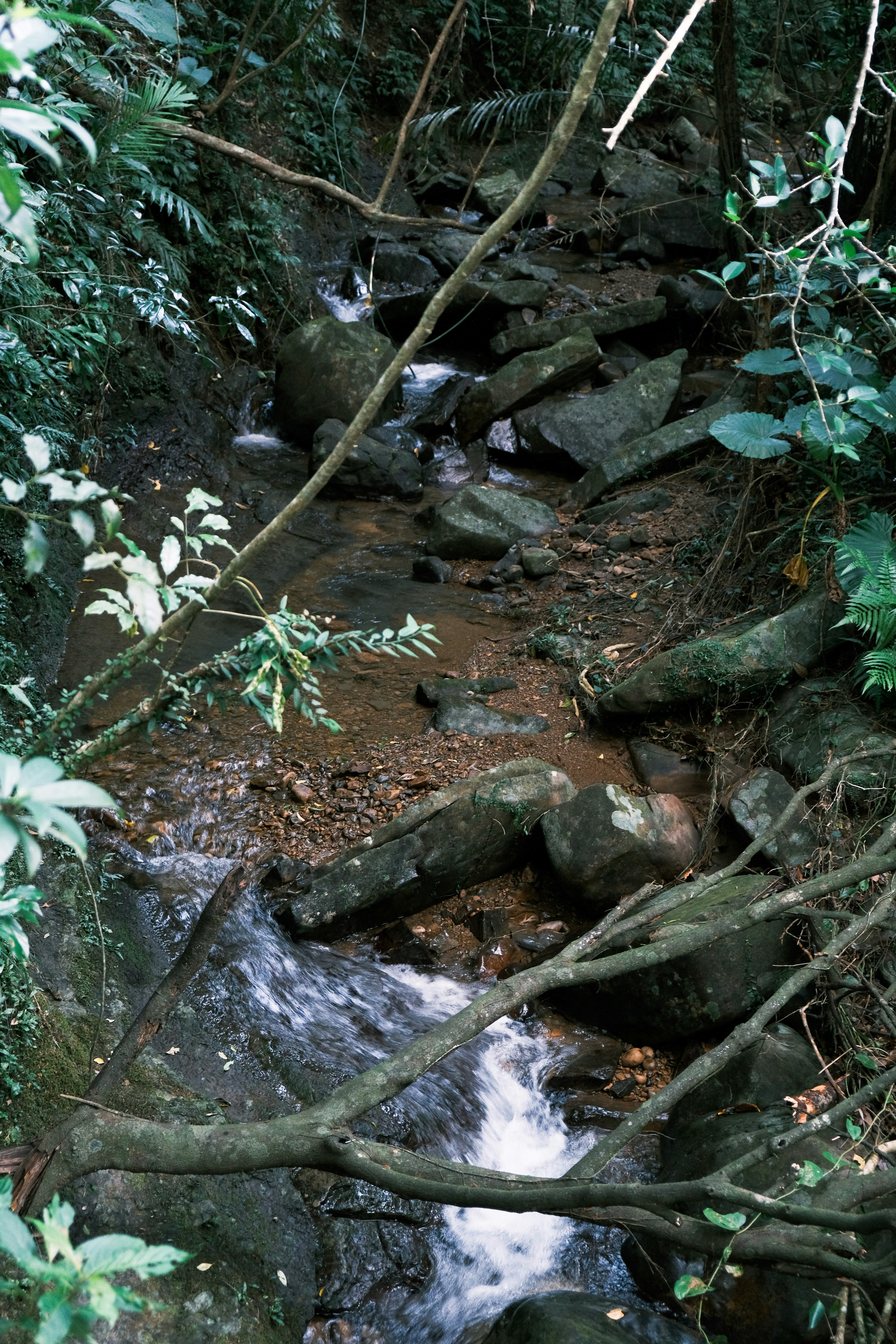 Photo by HsinKai Tai with Fujifilm X-T4