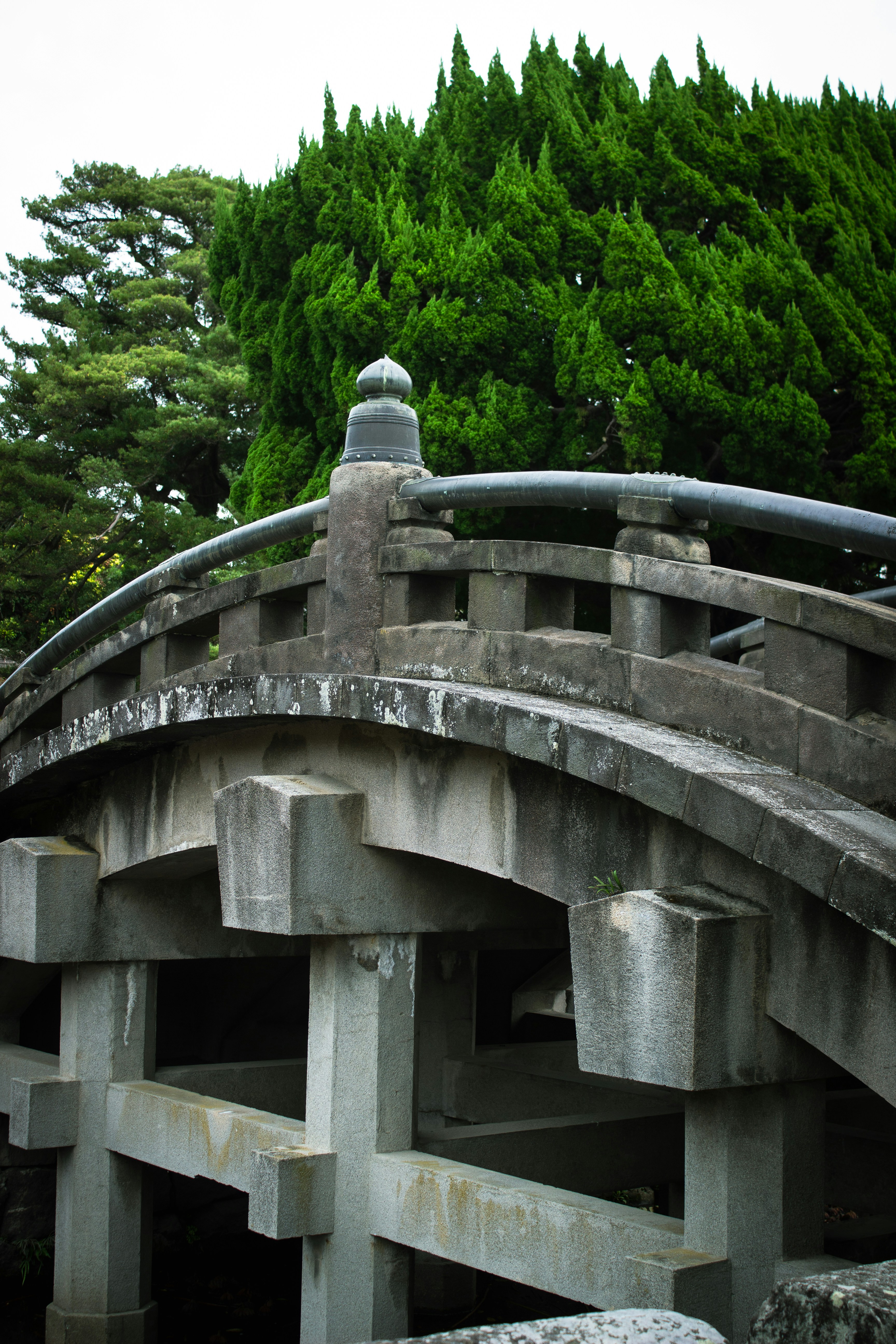 Guarded Span: A Curved Stone Bridge Framed by Dense Pines