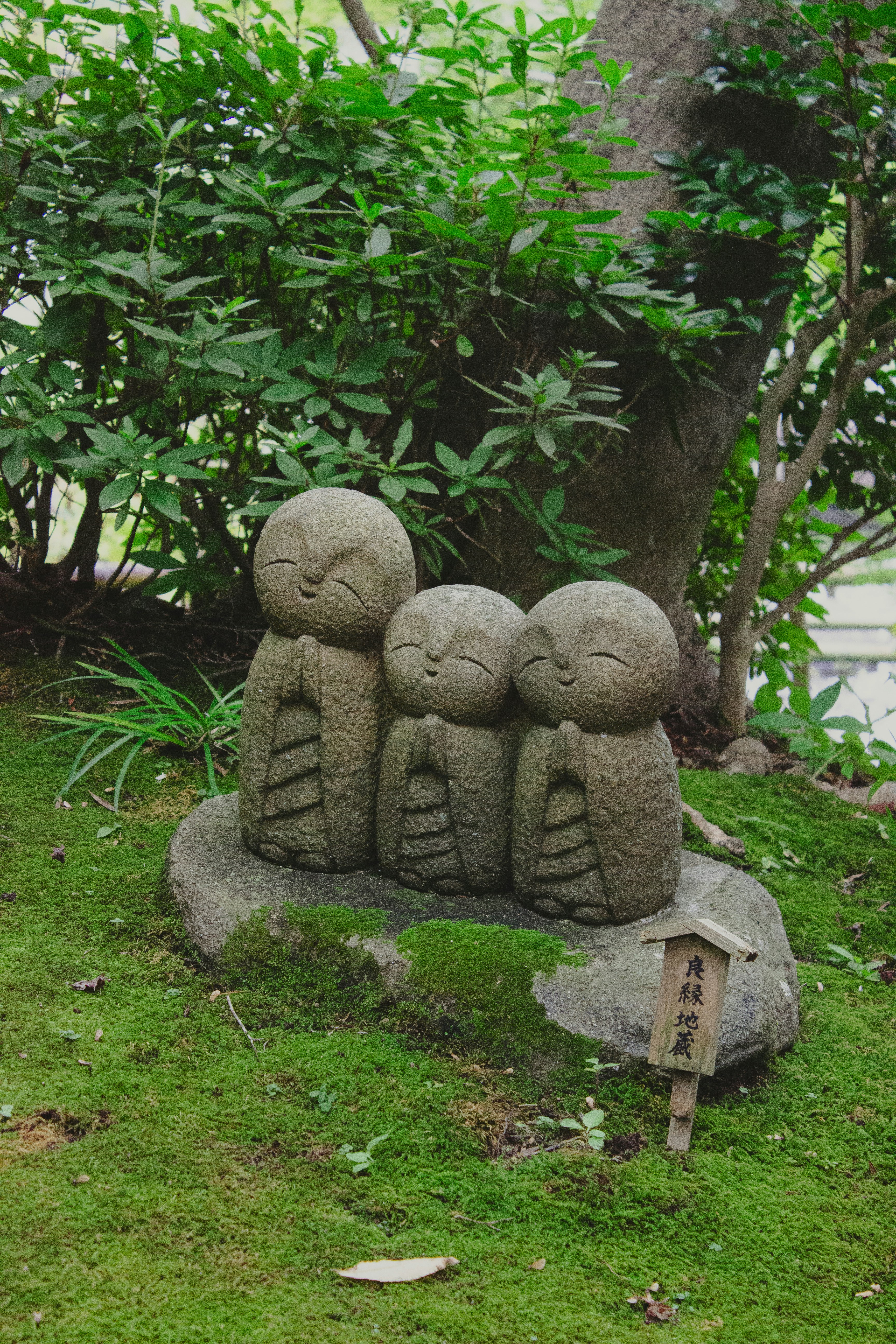 Three Moss-Covered Jizo Statues in a Tranquil Garden