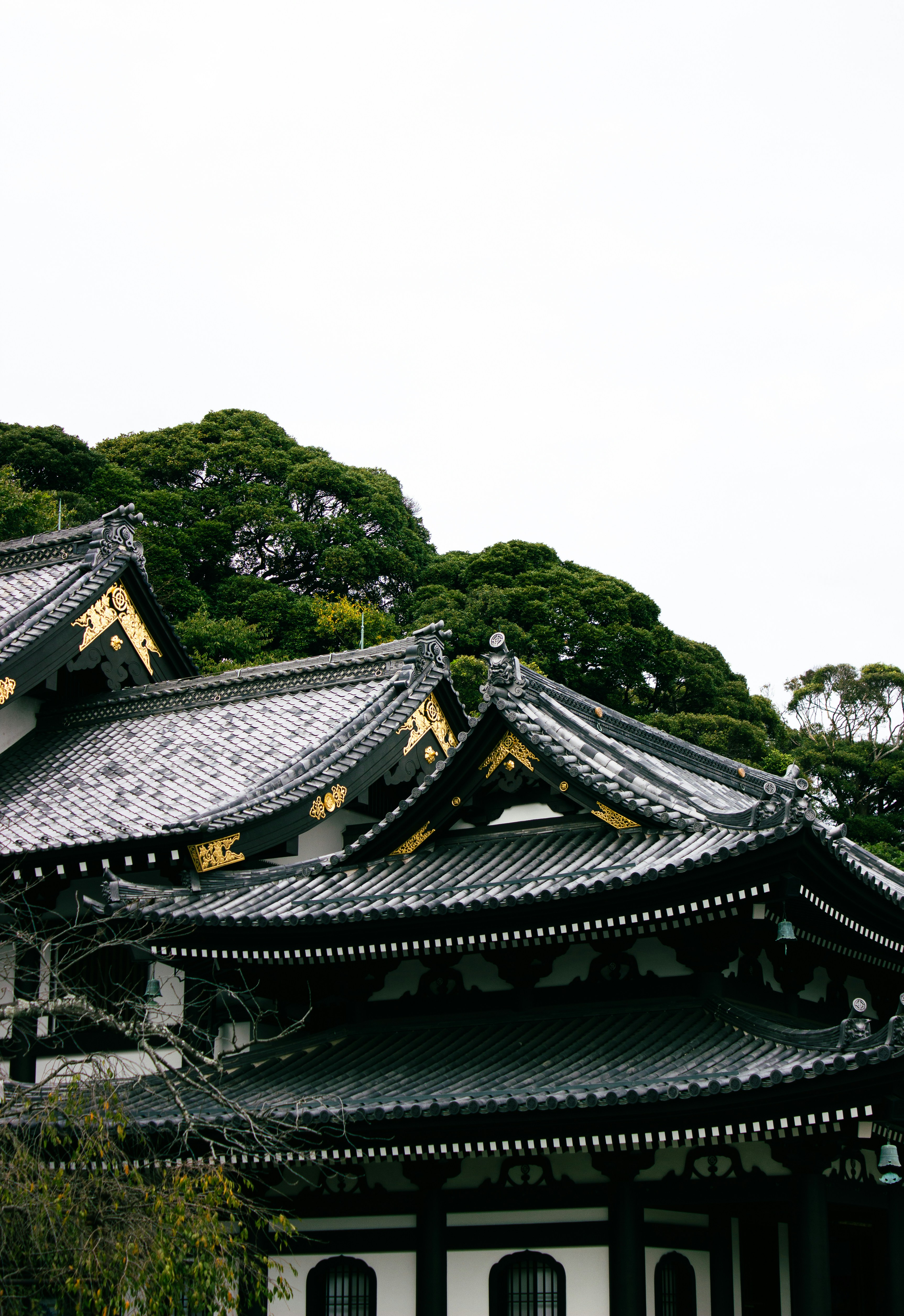 Hase-dera Temple, a Buddhist temple in Kamakura, Kanagawa Prefecture, Japan.