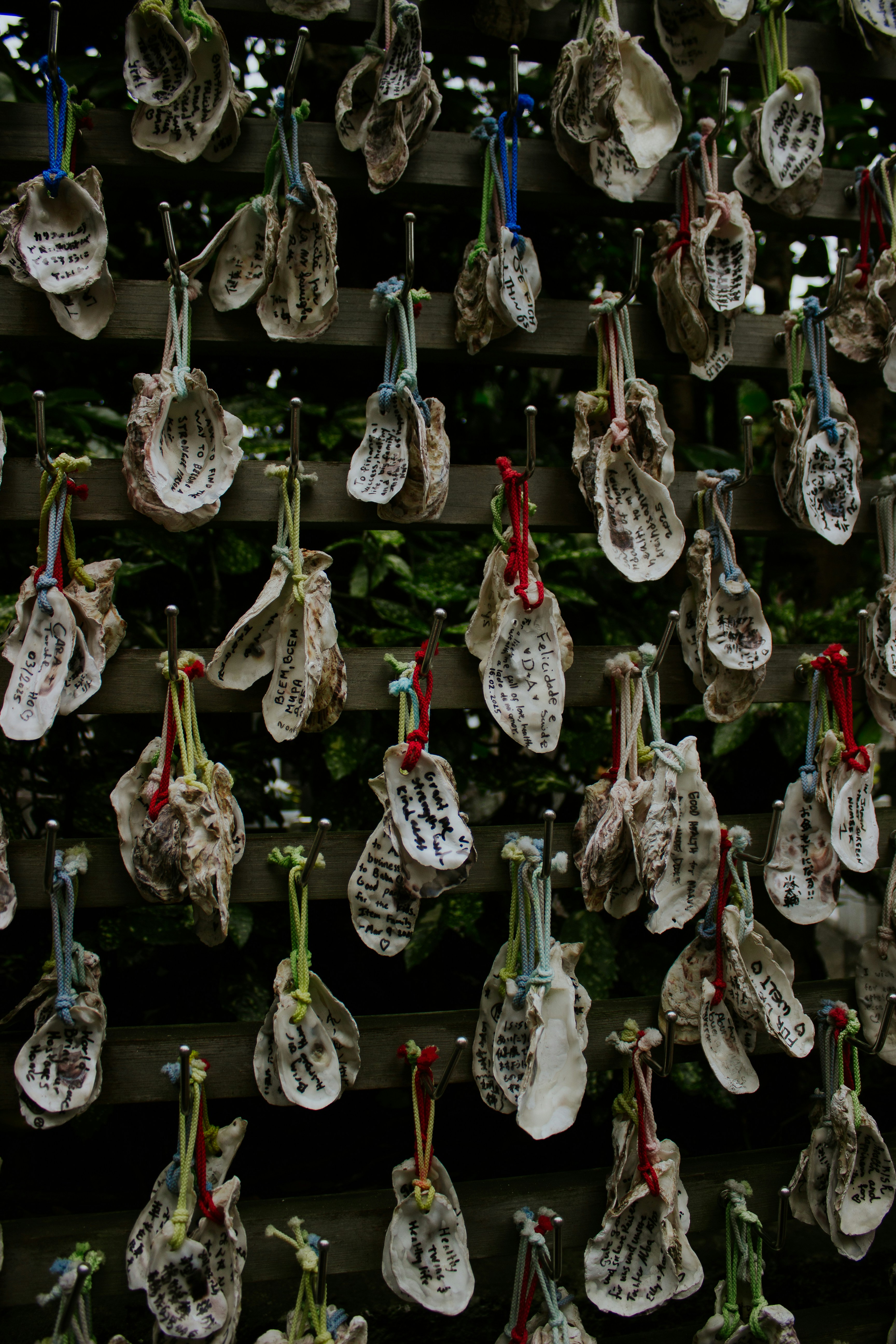 Woven Wishes: Inked Leaves on a Weathered Lattice