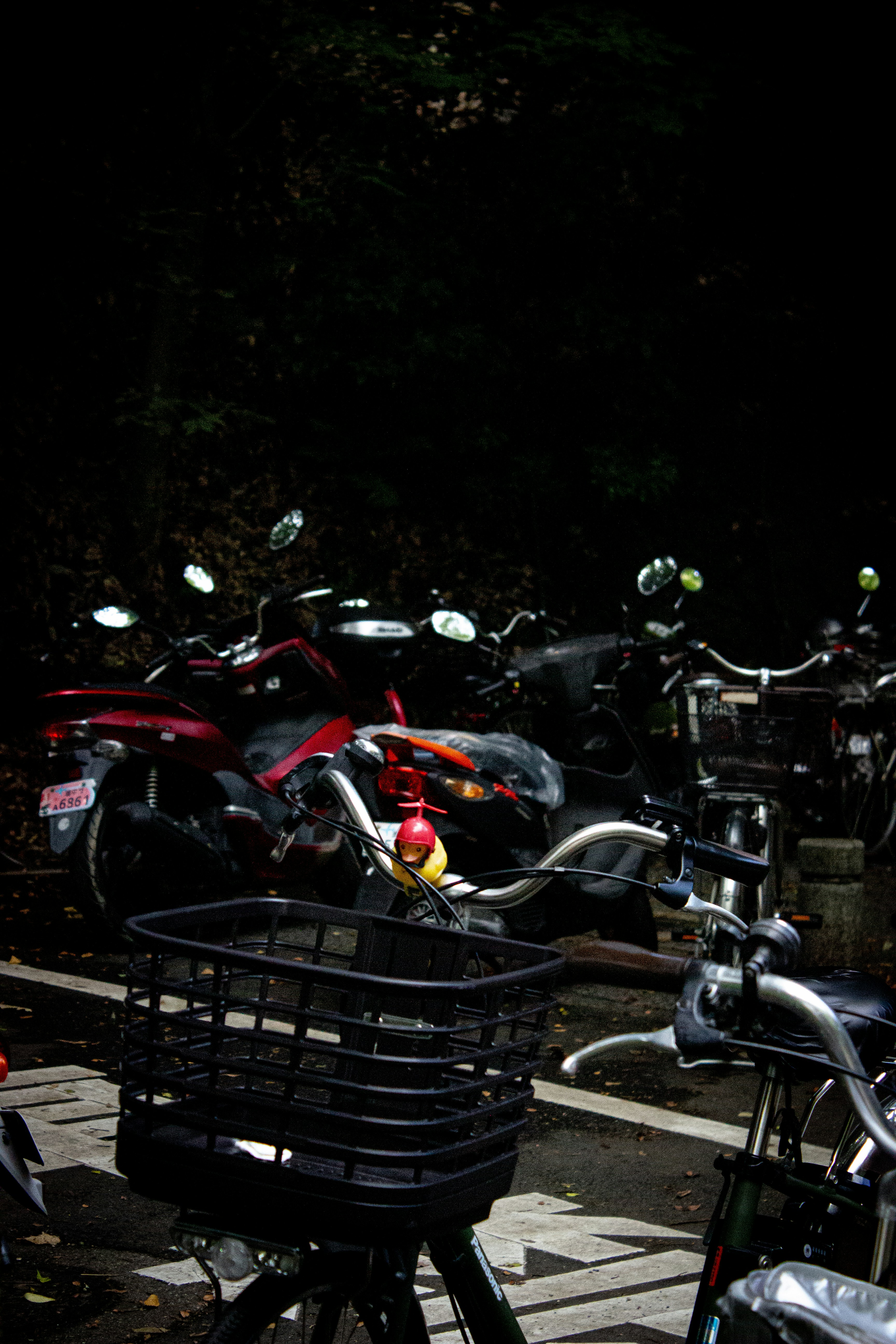 Ryuan-ji Temple, located in the Meiji no Mori Mino Quasi-National Park near Osaka, Japan.