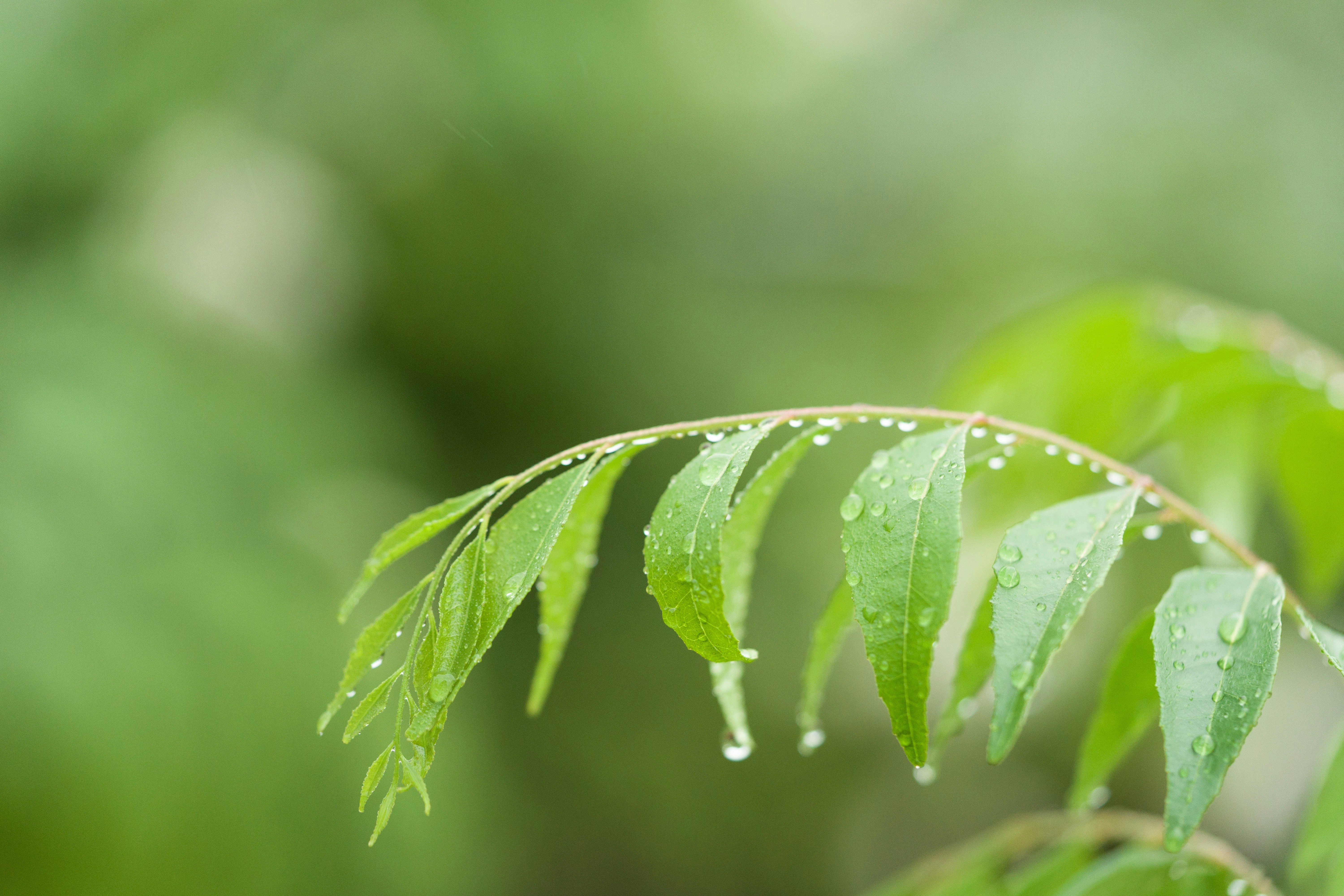 Photo by Emmanuel Mbala with Sony Alpha 7 III