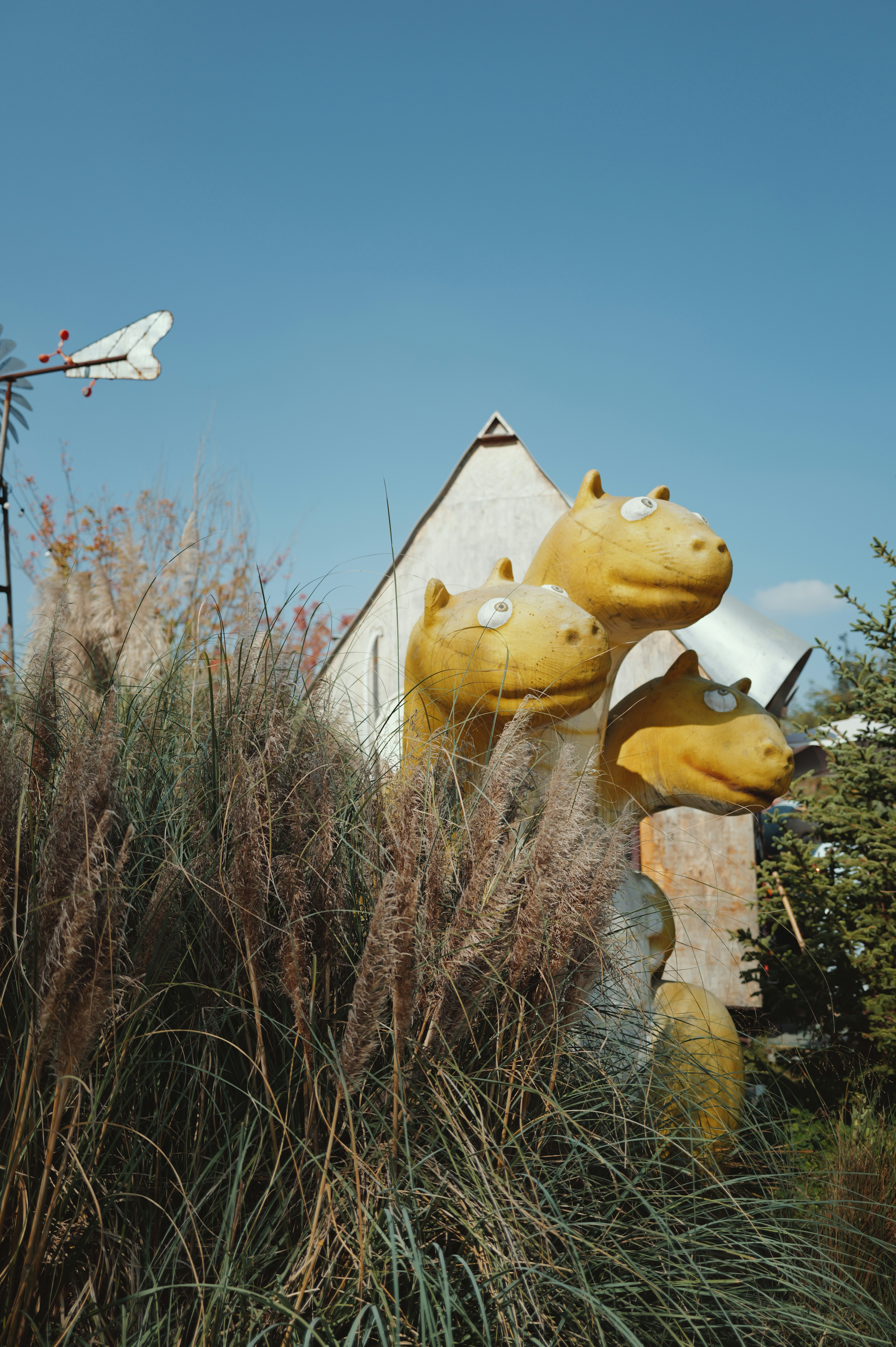 Yellow dinosaur heads peek through tall grass.