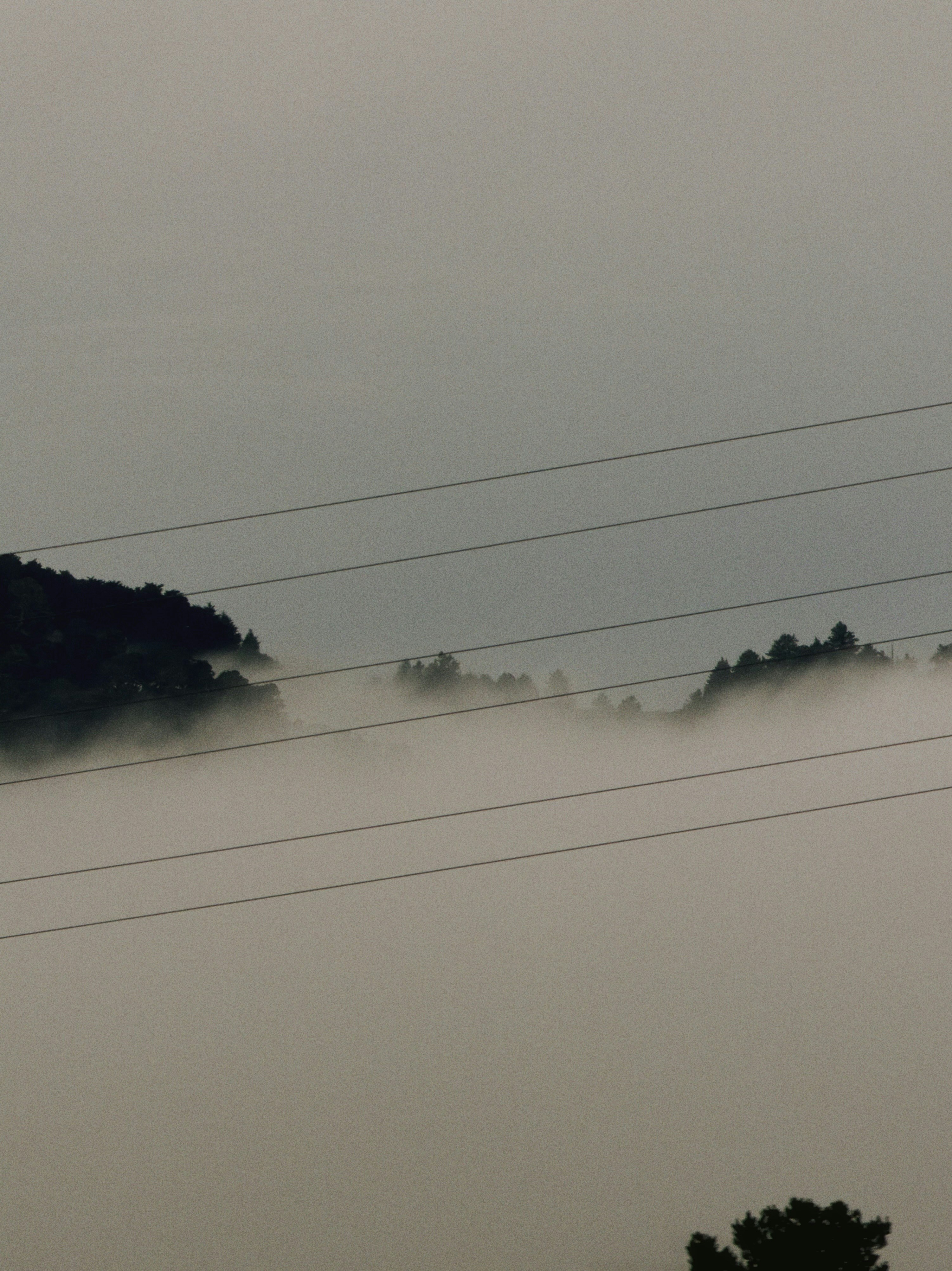 Misty mountains with power lines in foreground.