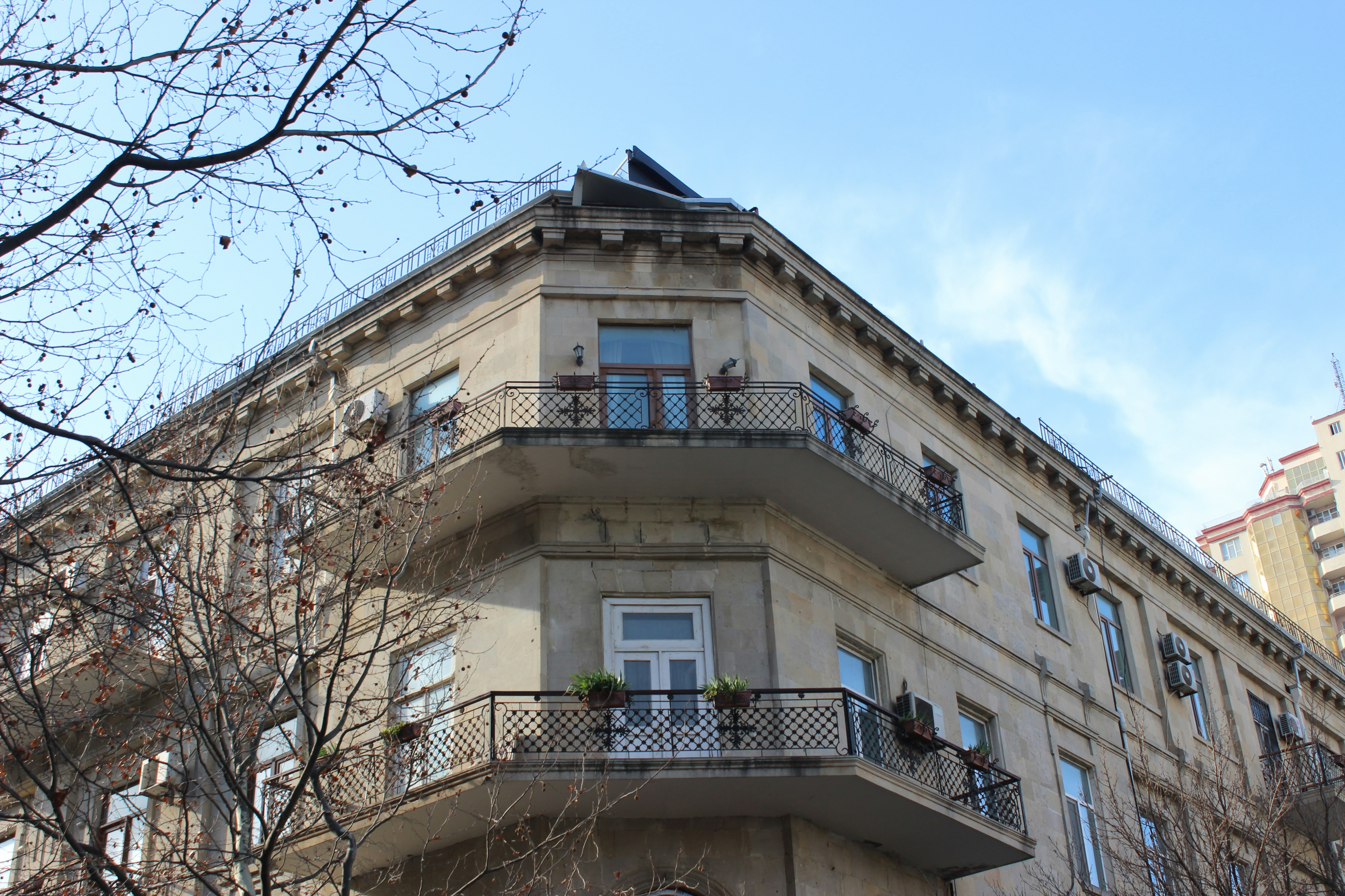 Photo by Mahsati Jalilli with Canon EOS 600D