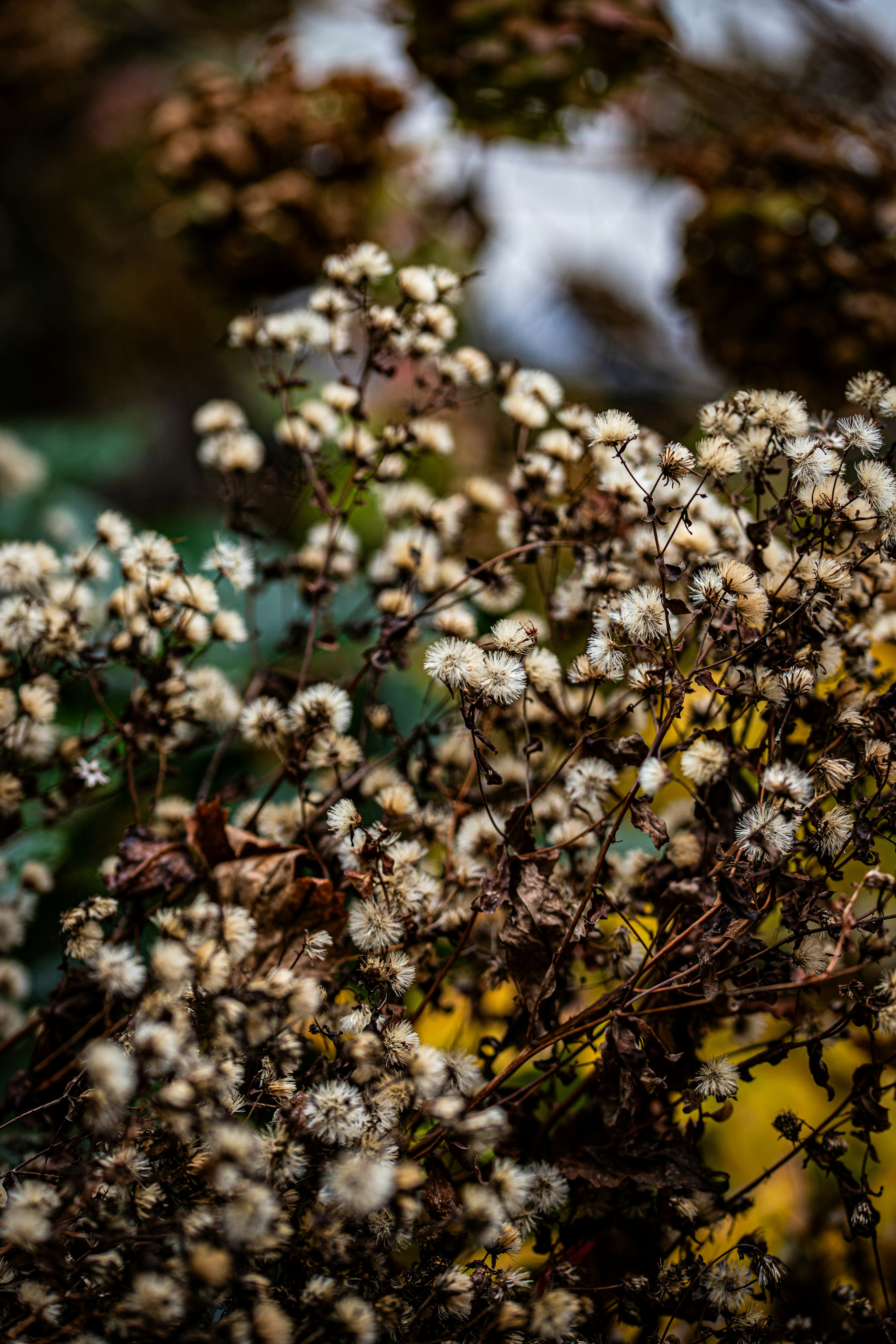 Photo by Bernd 📷 Dittrich with Canon EOS 6D Mark II