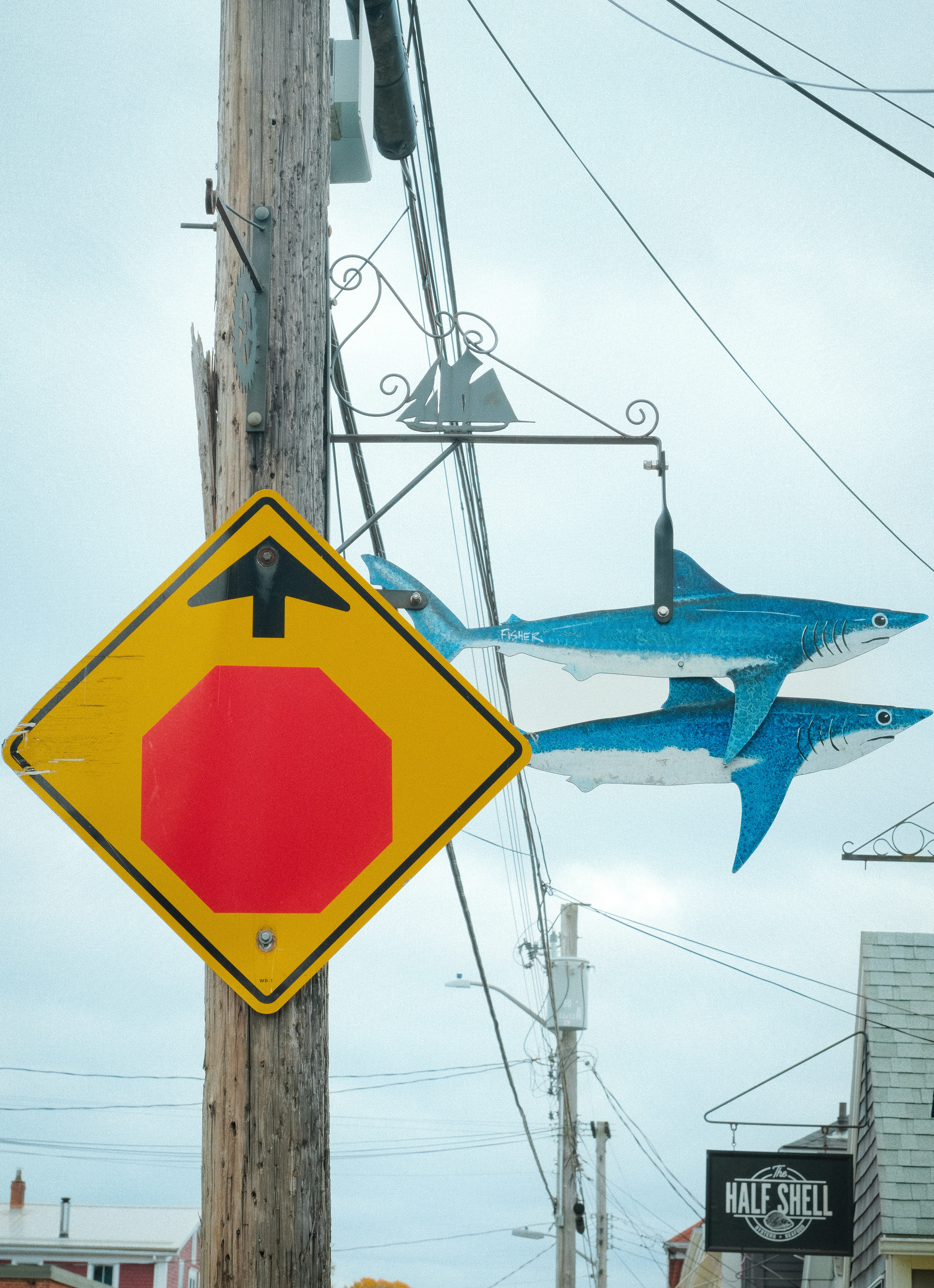 Photo by Gene Dizon with Fujifilm X-T5