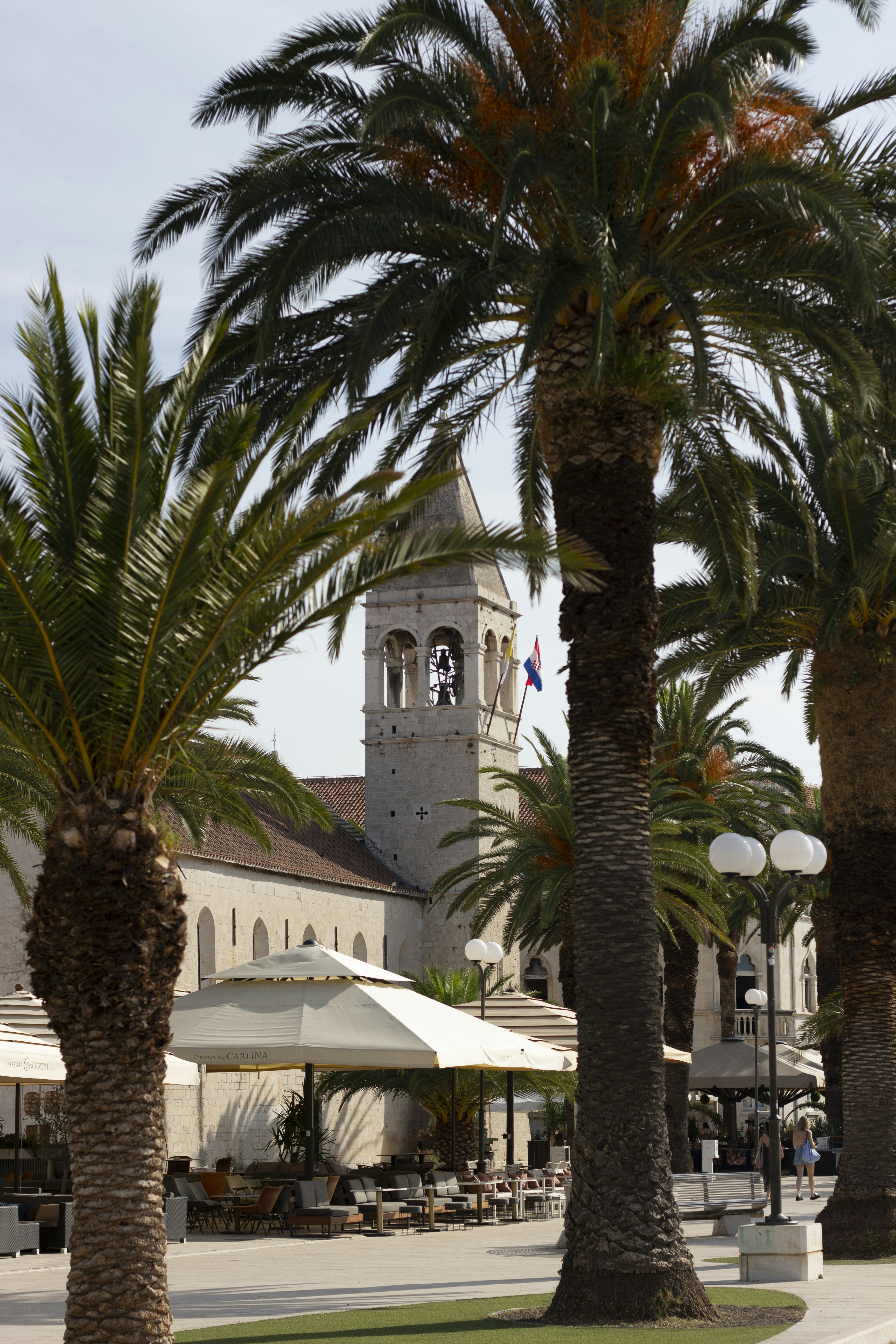 Bell Tower Rising Through Palm Canopy Over a Mediterranean Plaza