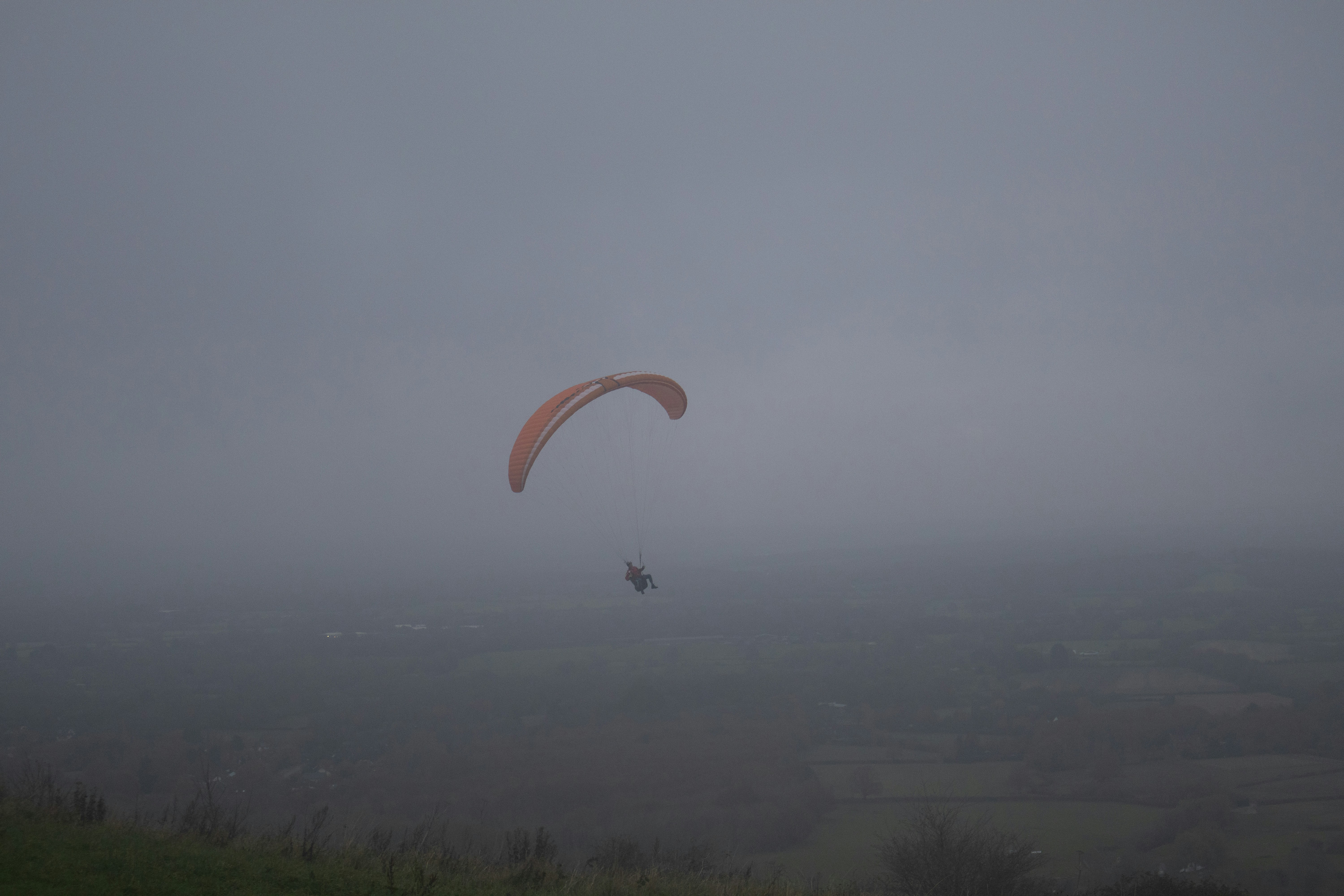 Photo by Tanya Barrow with Canon EOS R50