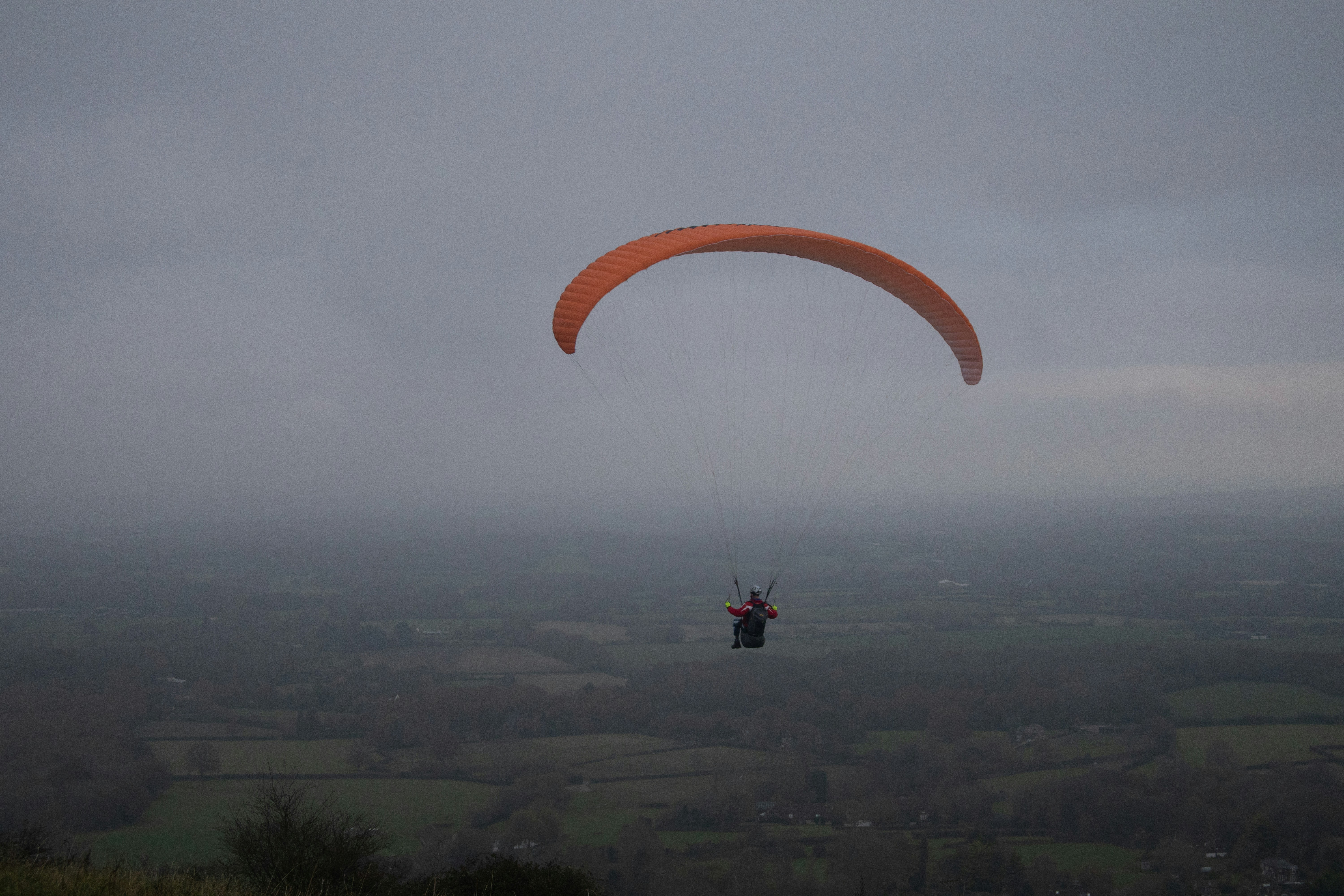 Orange Wing Against a Misty Tapestry of Fields