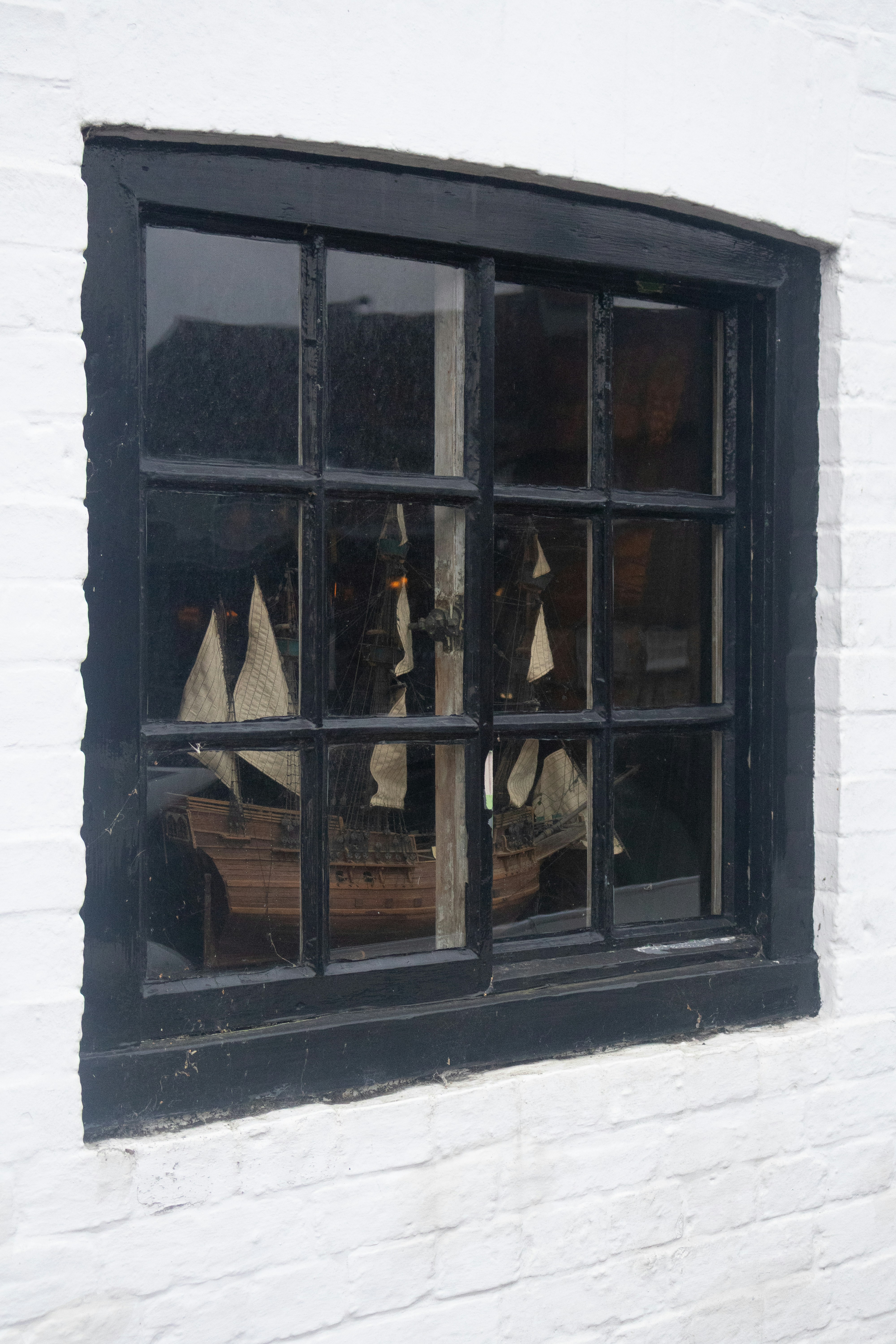 Photo by Tanya Barrow with Canon EOS R50