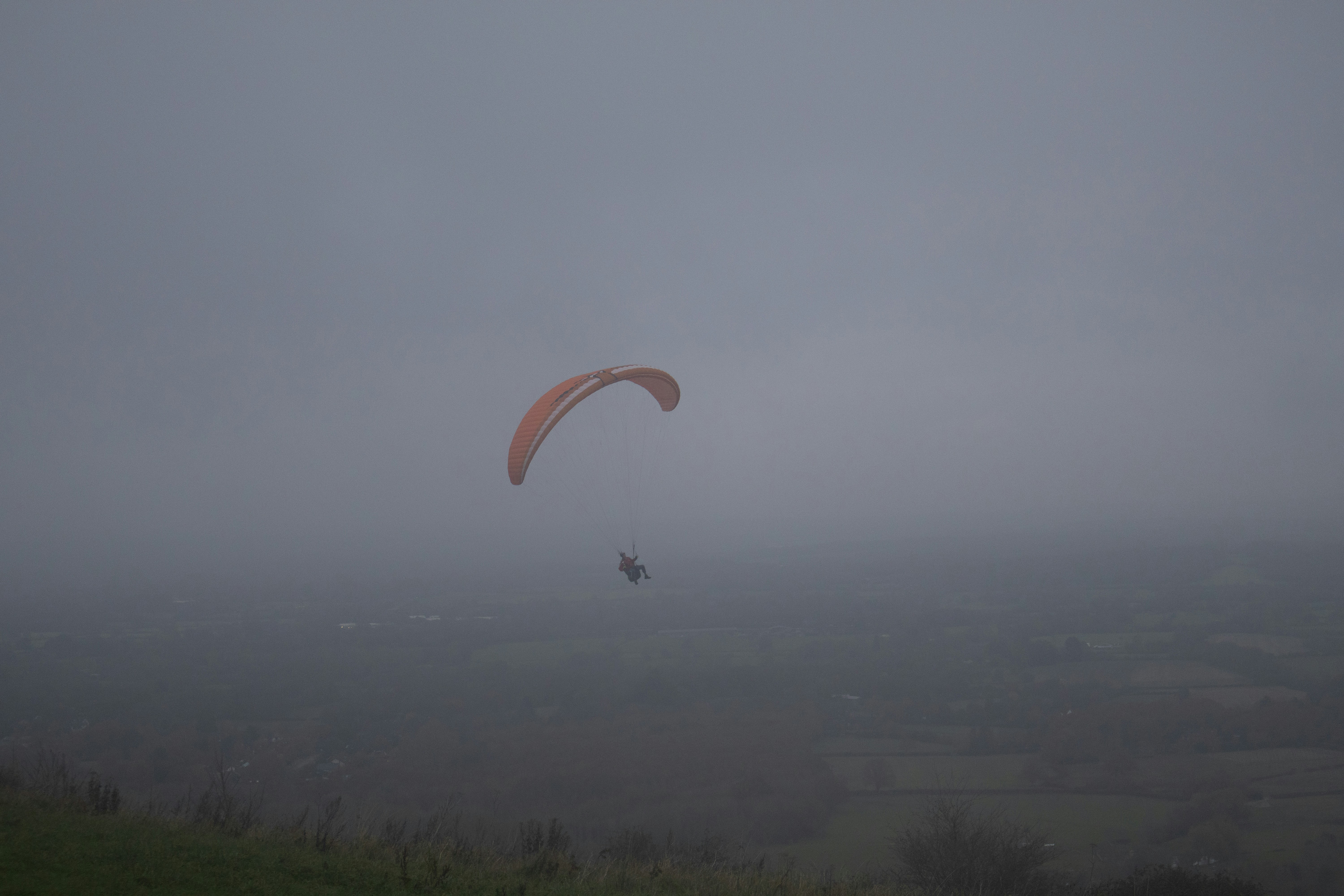 Photo by Tanya Barrow with Canon EOS R50