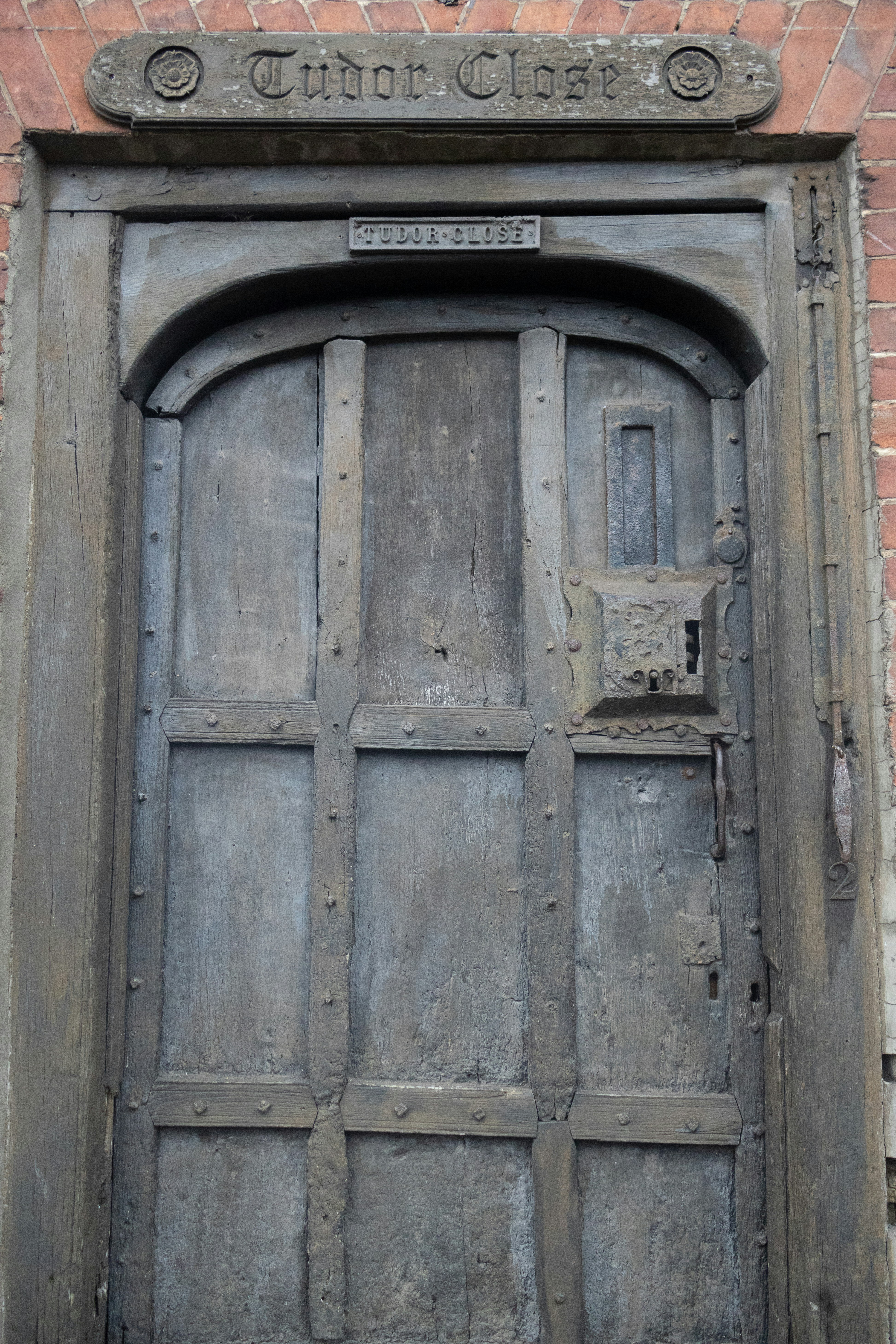 Photo by Tanya Barrow with Canon EOS R50