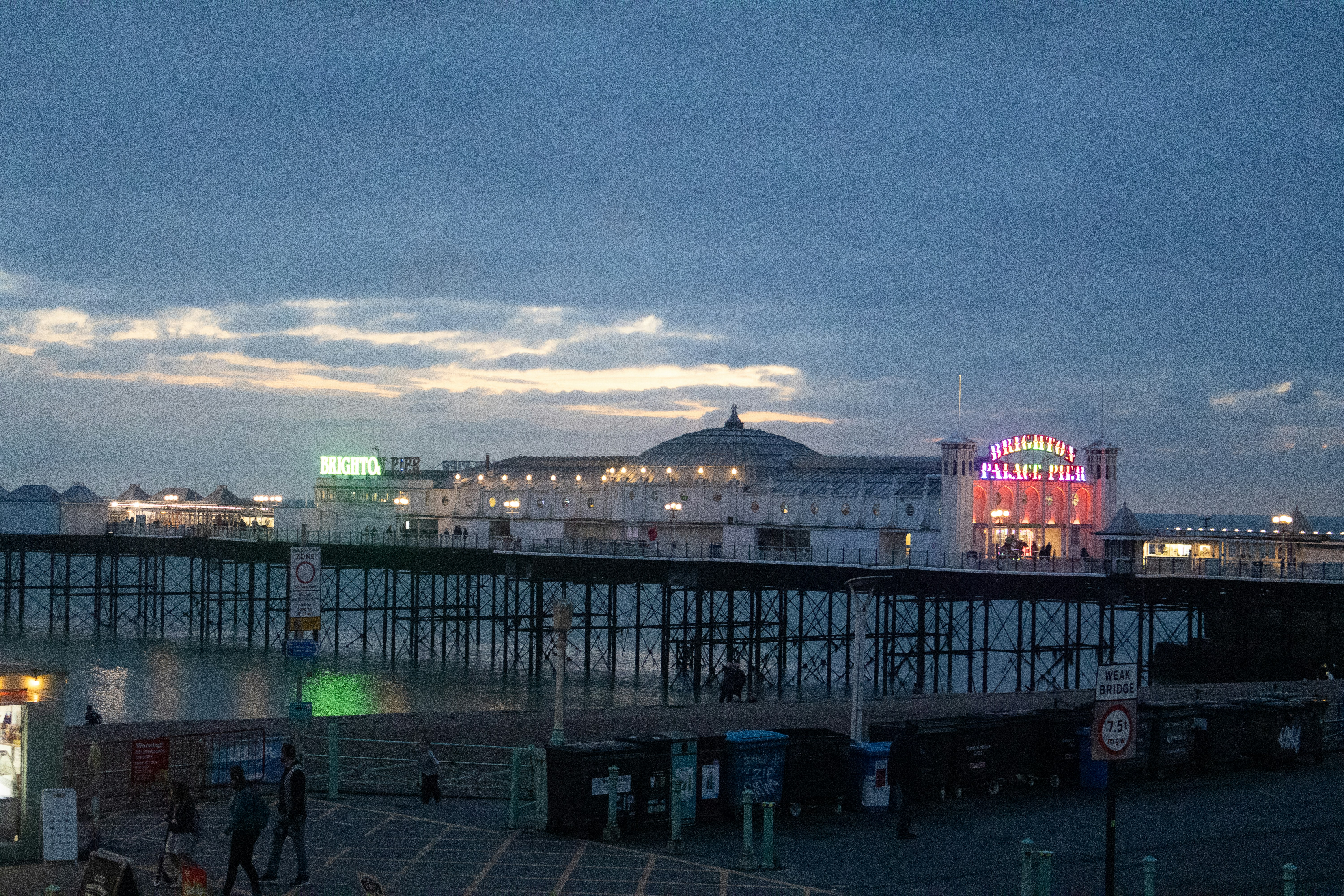 Photo by Tanya Barrow with Canon EOS R50