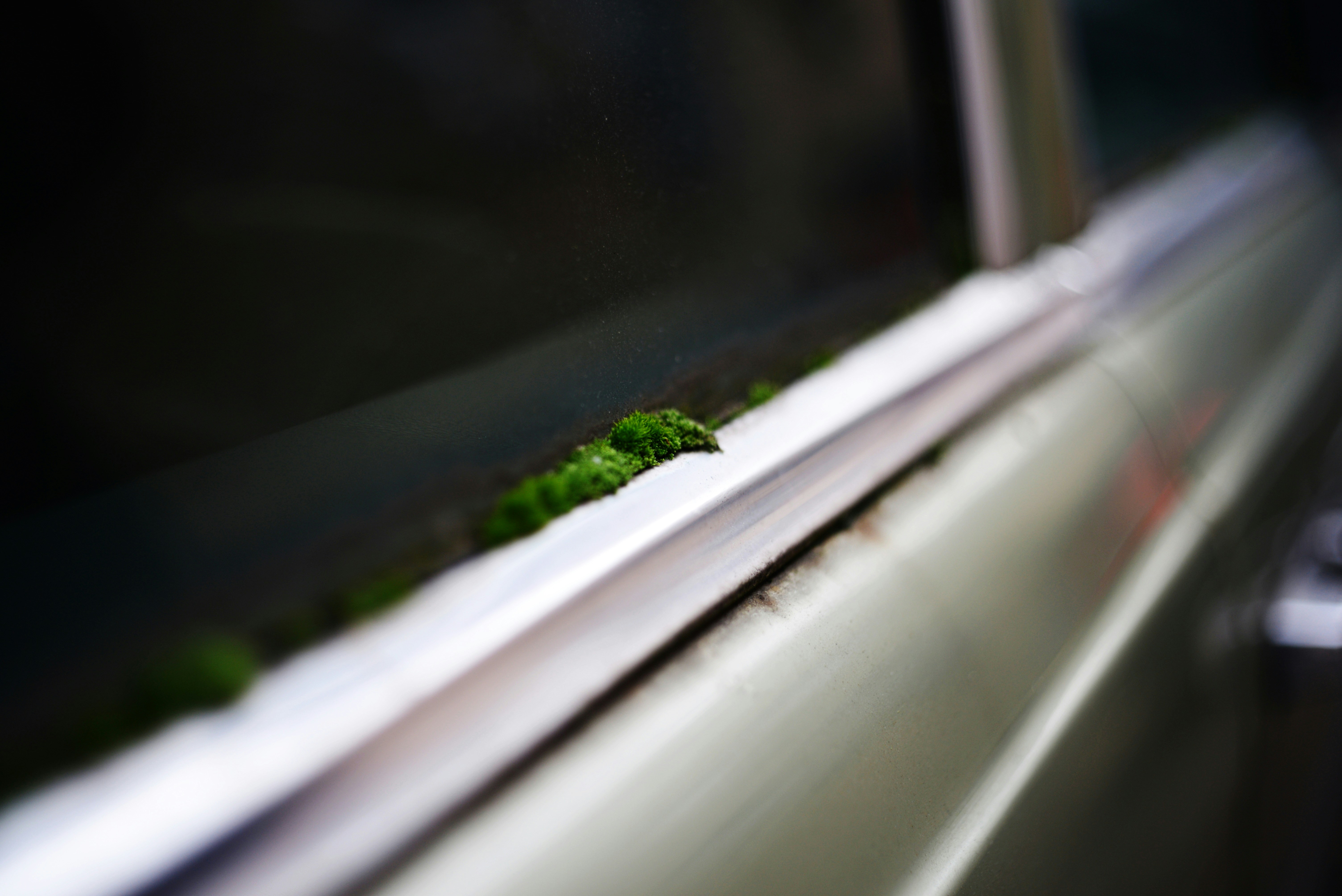 Photo by Liana S with Nikon D600