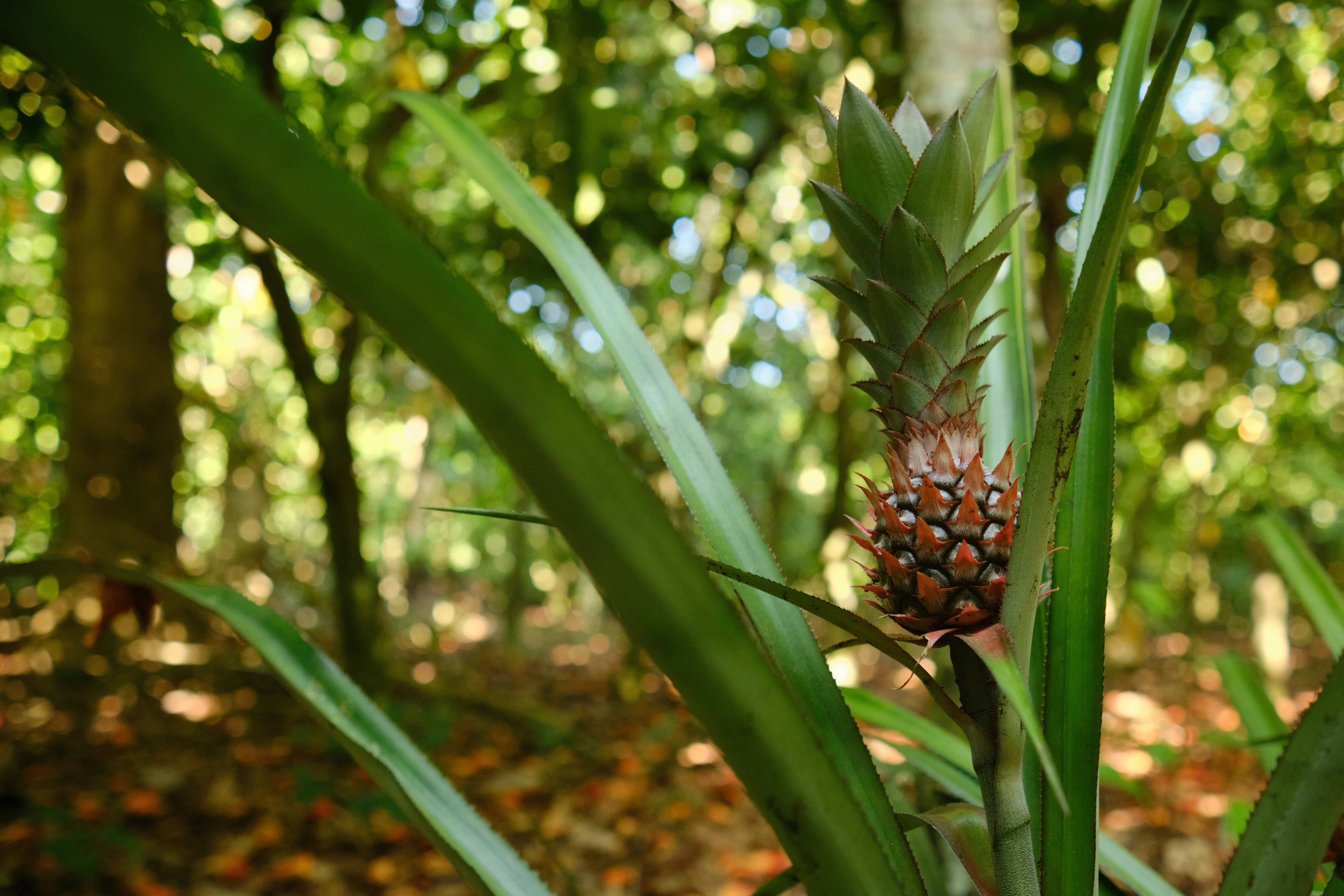 Photo by Alfred Quartey with Fujifilm X-T5
