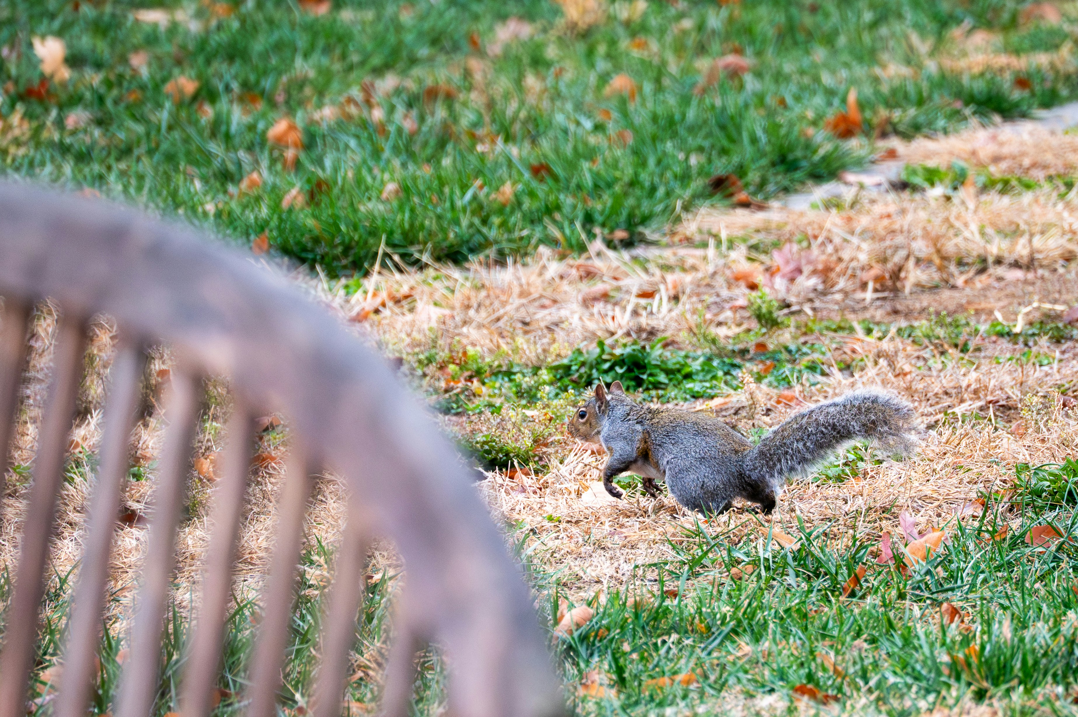 Photo by Yi Zhong with Nikon Z6 II
