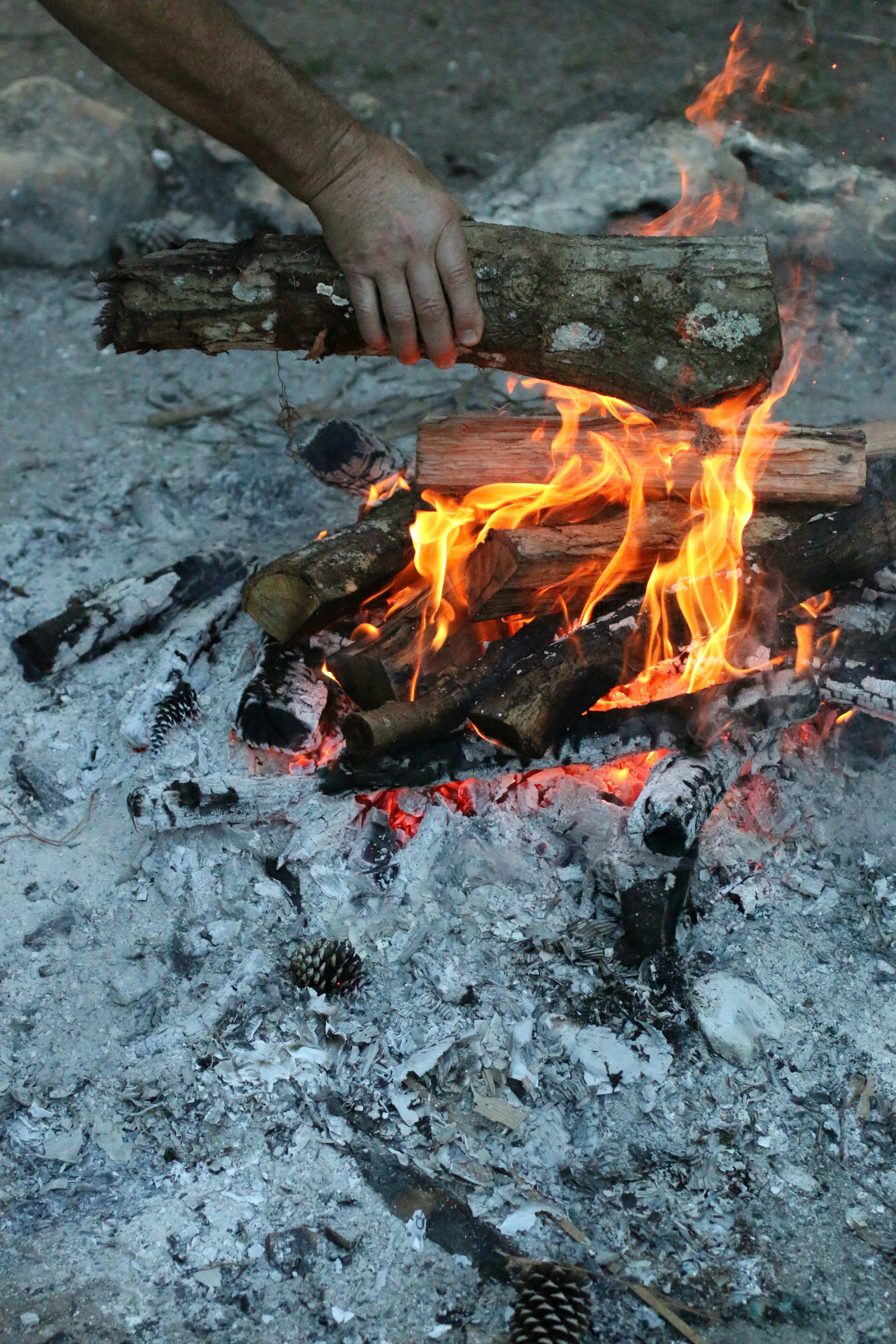 Photo by Wendy Aros-Routman with Canon EOS 70D