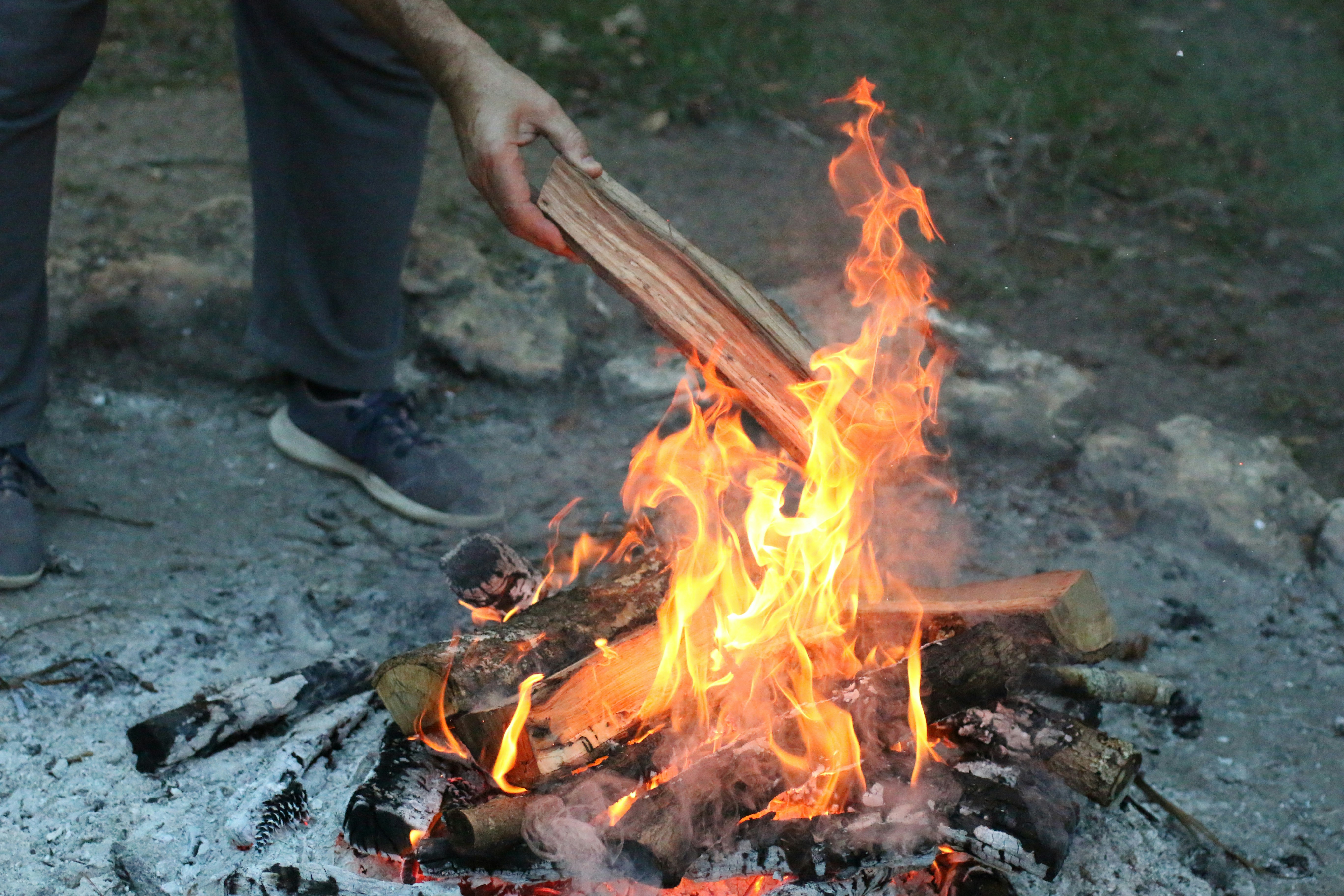 Photo by Wendy Aros-Routman with Canon EOS 70D