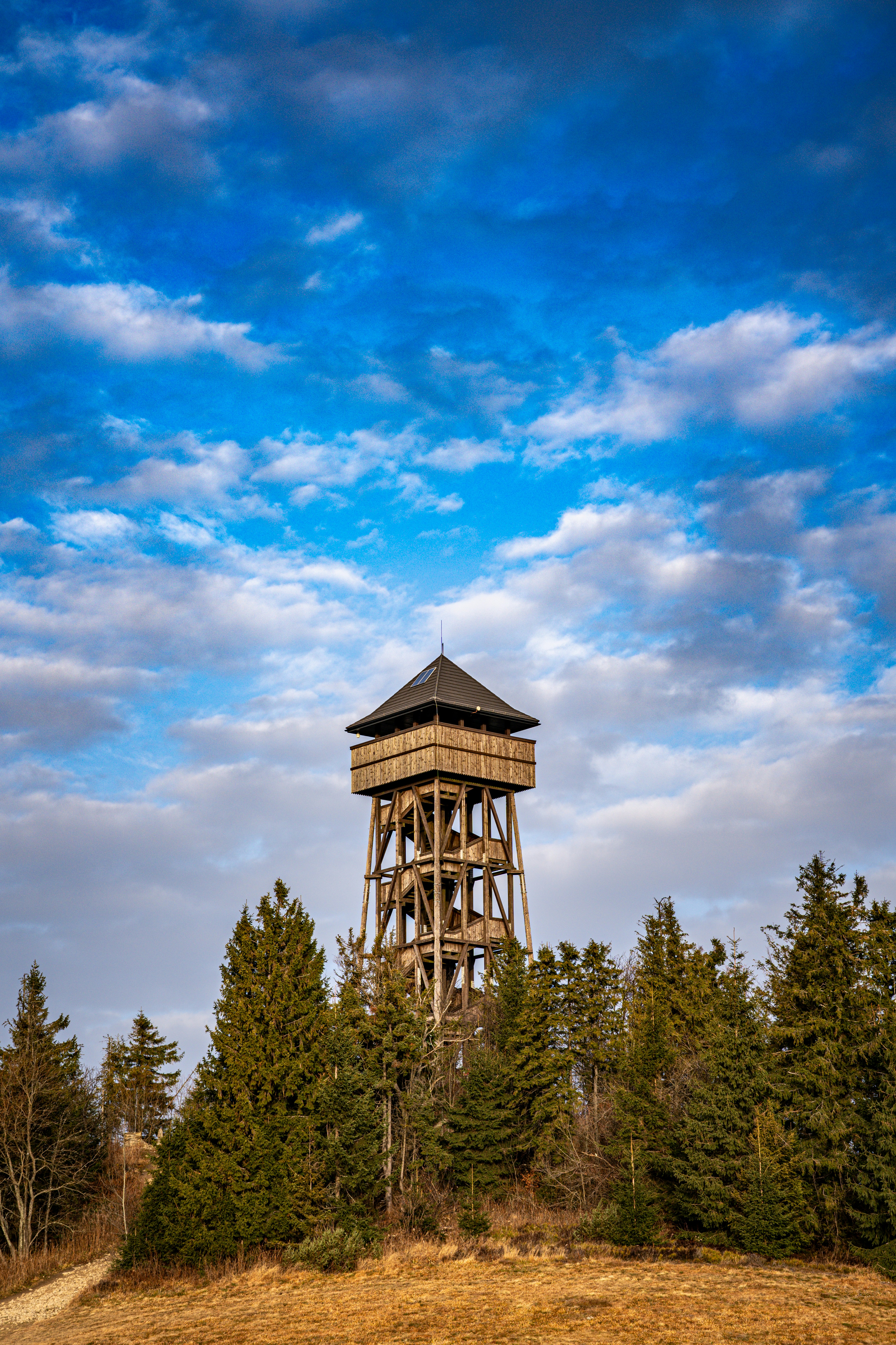 Timber Lookout Rising Above Pine Crest Under a Cerulean Sky
