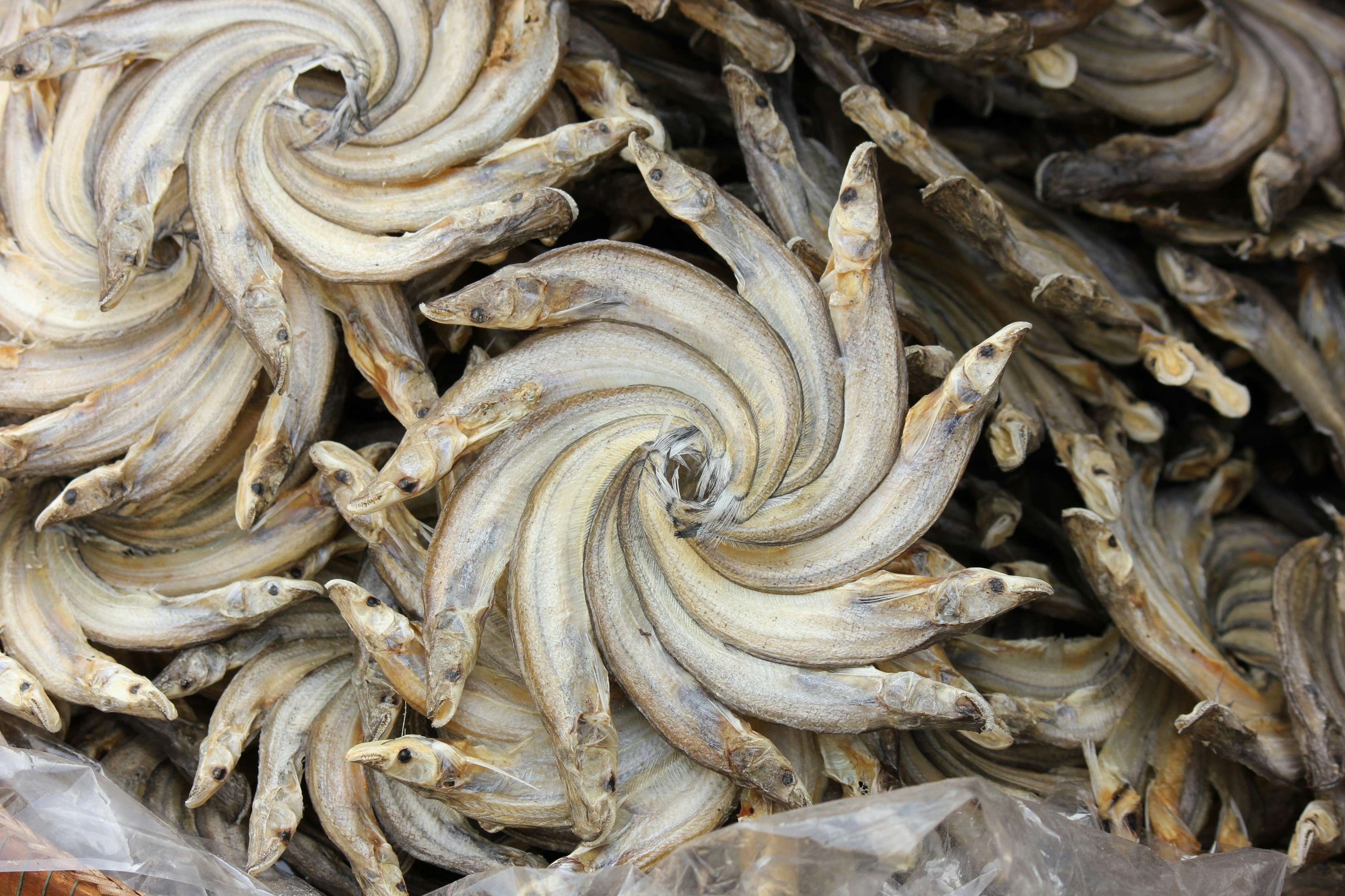 Smoked dry fish in circle