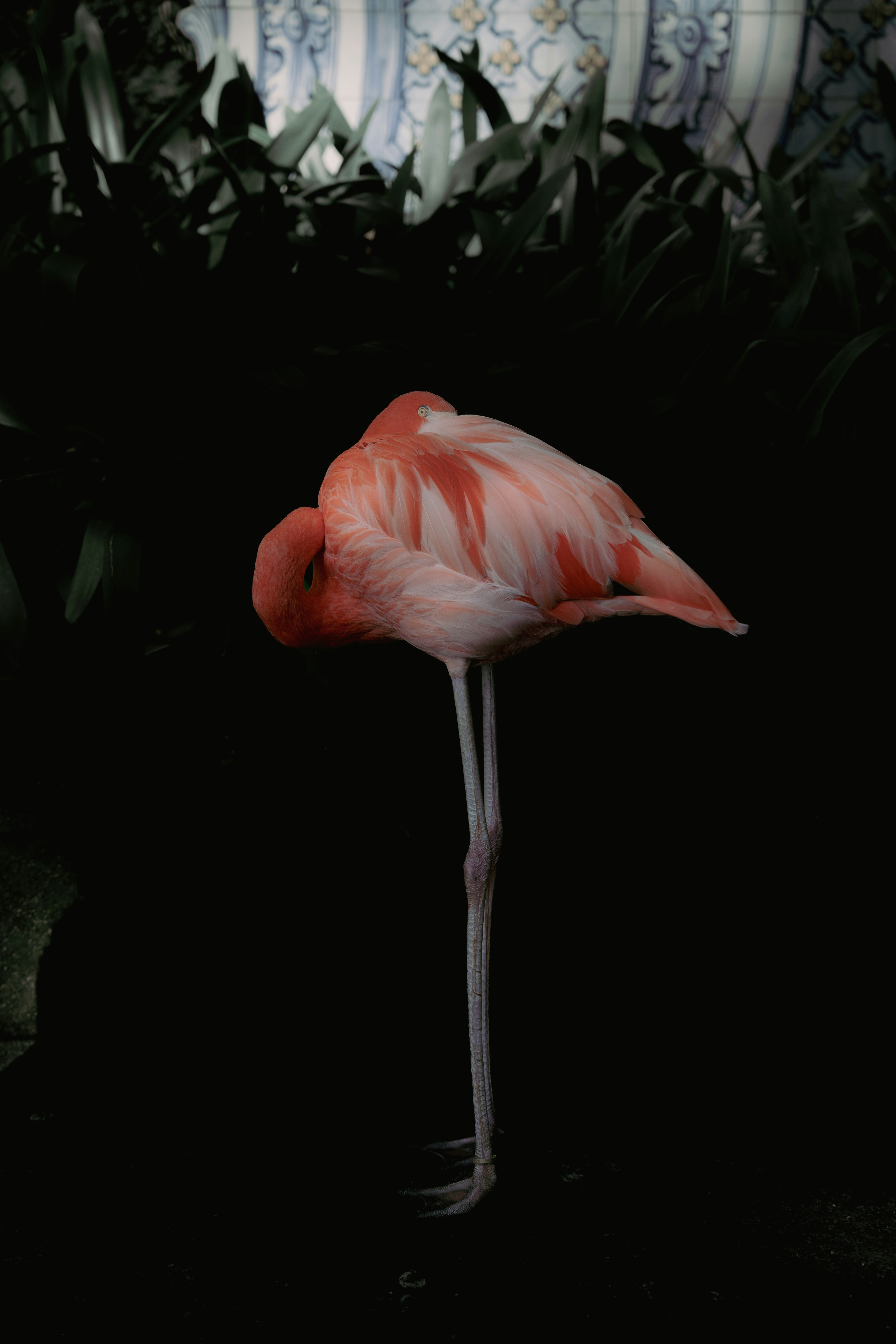 Crimson Silhouette: Flamingo in a Velvet Night Garden