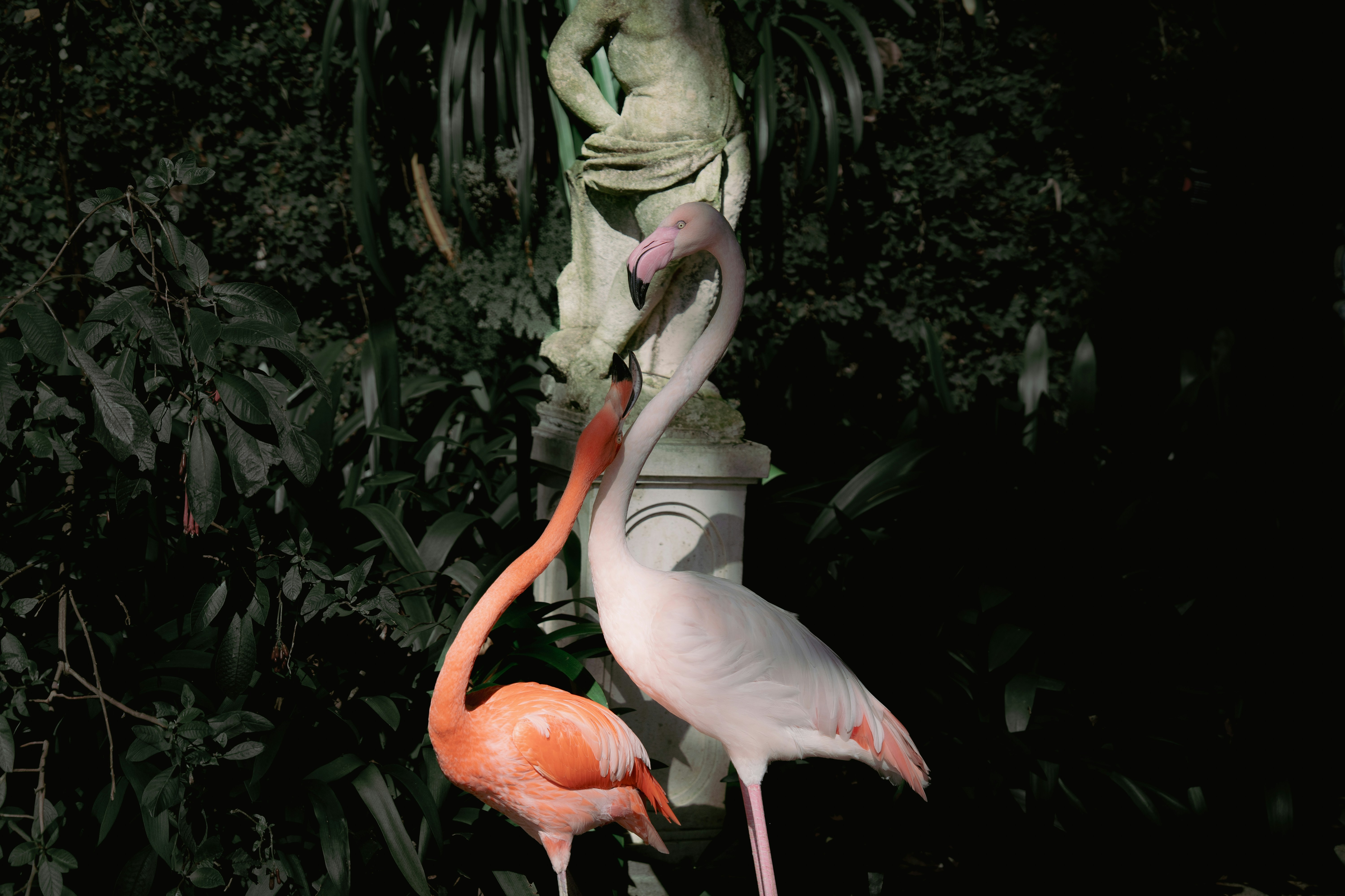 Peach and Pearl: Flamingos at a Classical Pedestal