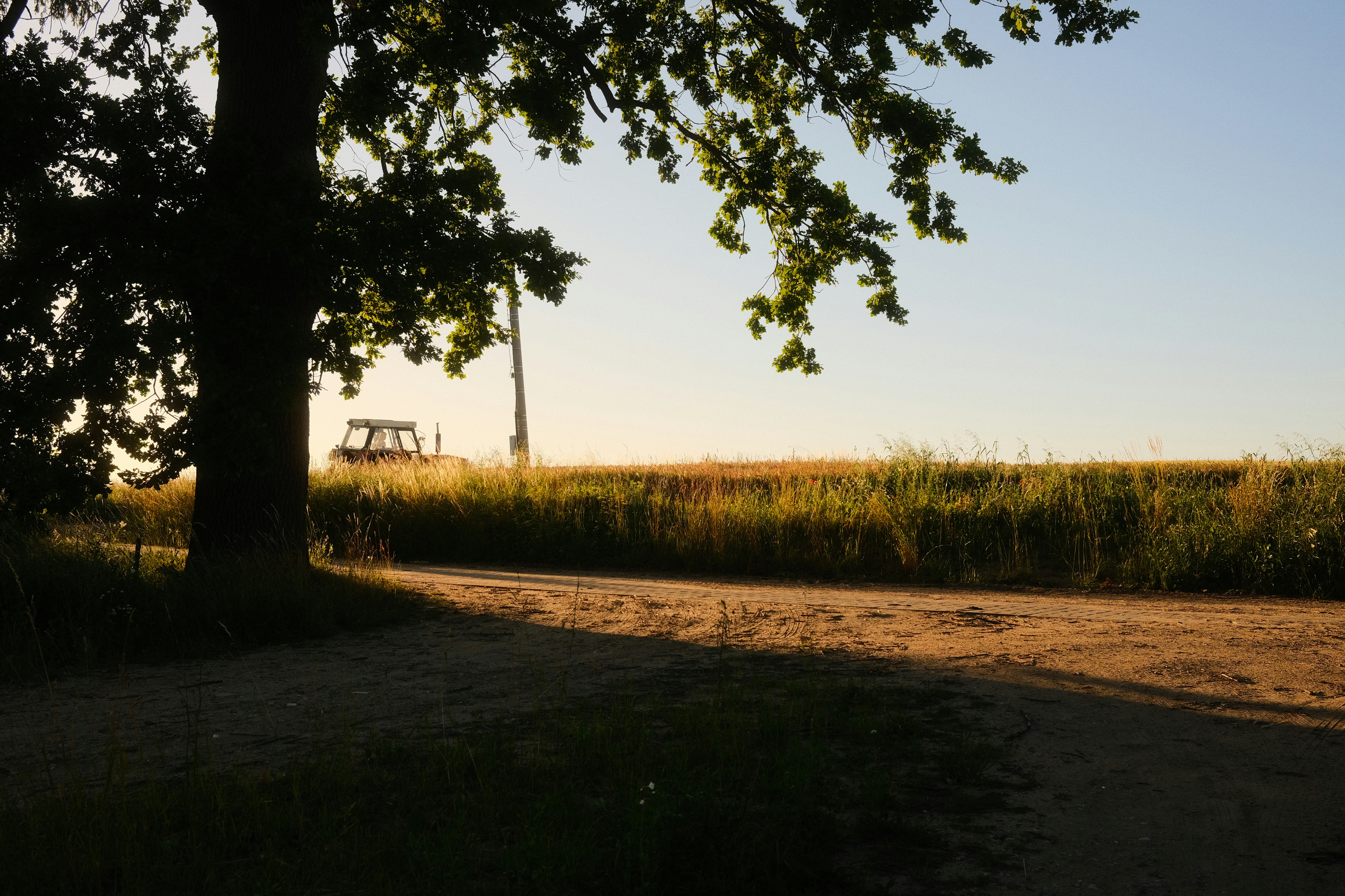 Solitary Bench at the Edge of a Sunlit Field Framed by Dappled Shade