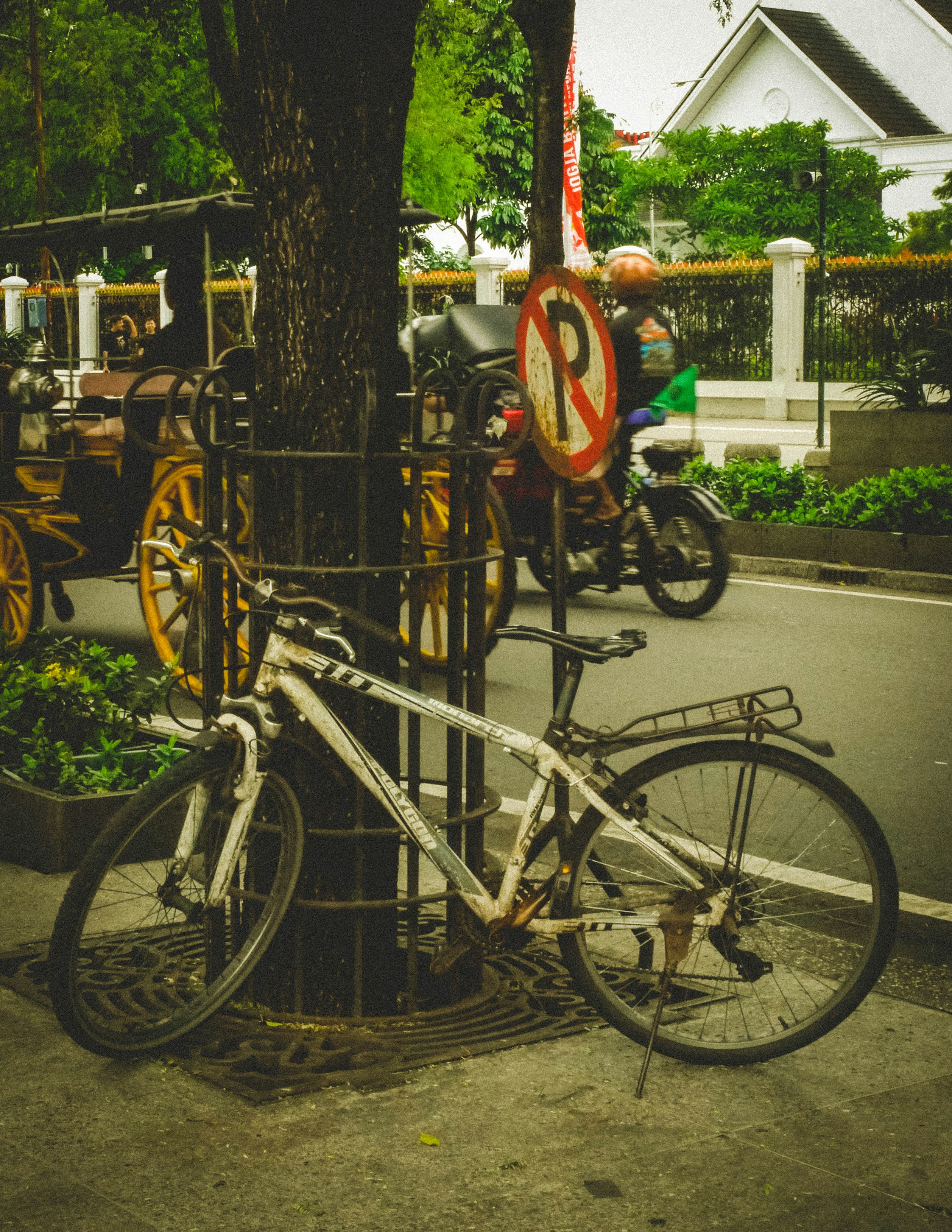 Bicycle parked near a tree with horse carriage photo – Free Motorcycle ...