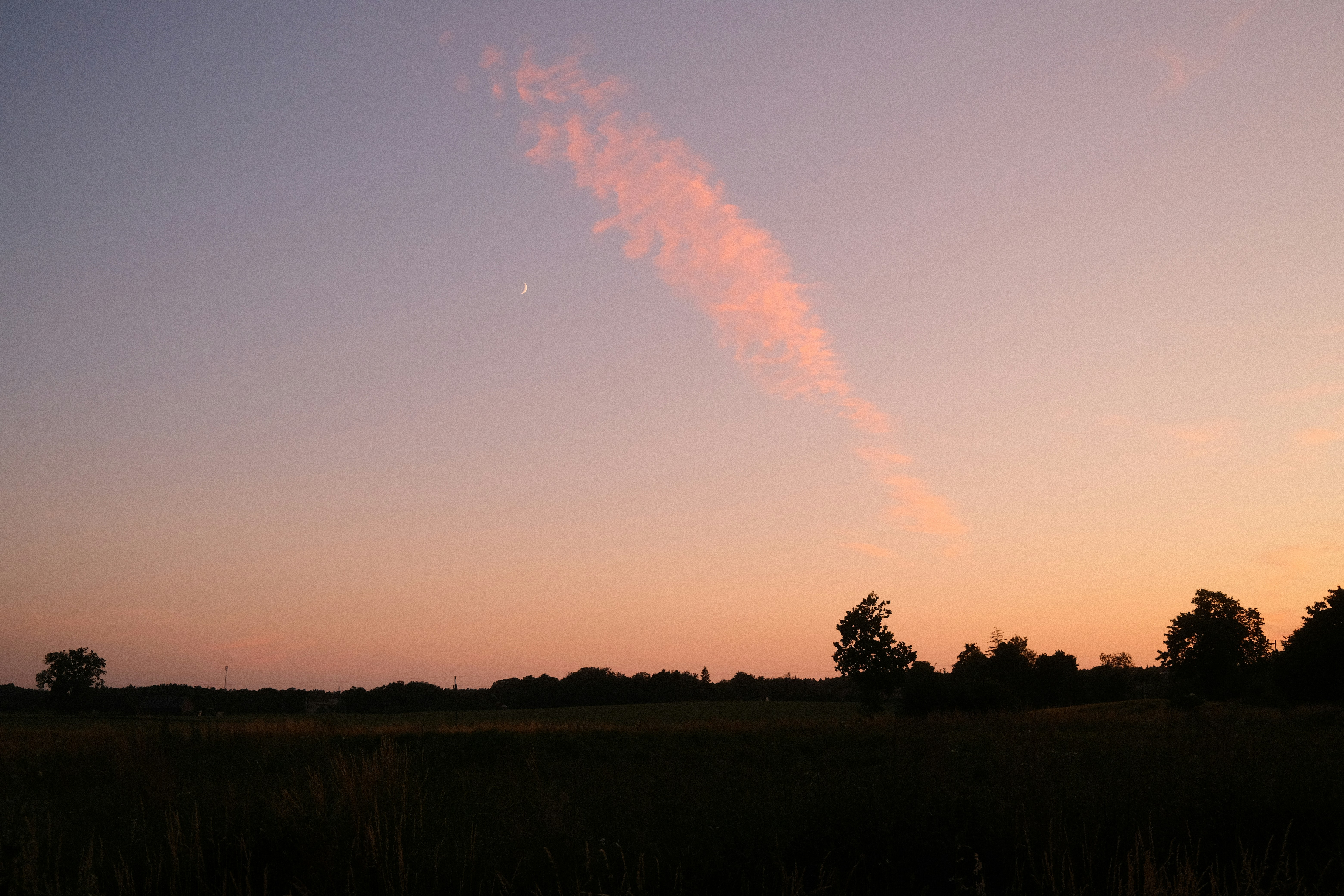 Crescent Over Coral Dusk: Quiet Prairie Under a Pink-Glow Sky