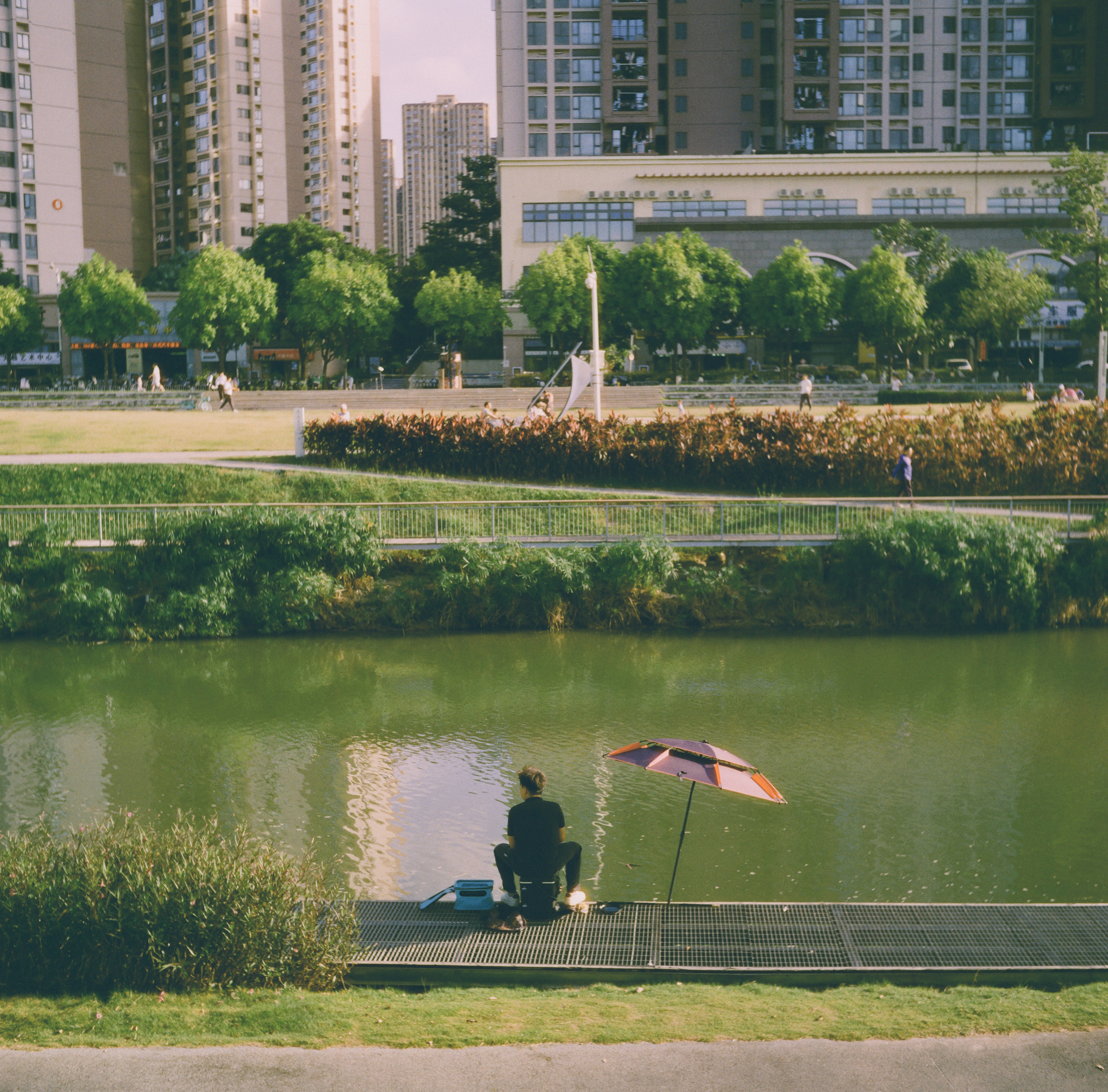 This series was shot using Harman Phoenix 200. Overall, the colors do look a bit unusual.