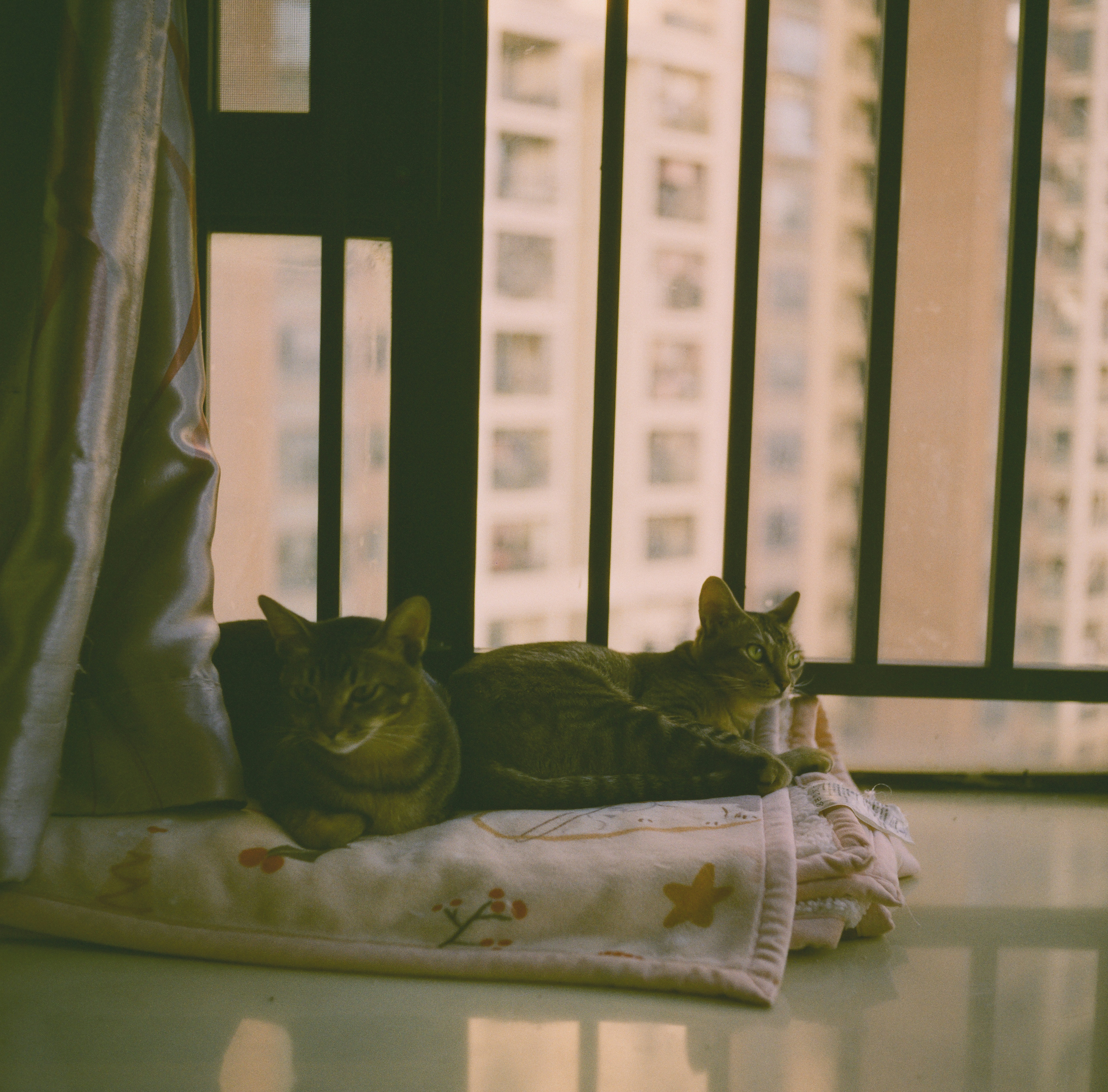 Although the colors of Harman Phoenix 200 are a bit unusual, its performance in this scene is surprisingly pleasing.