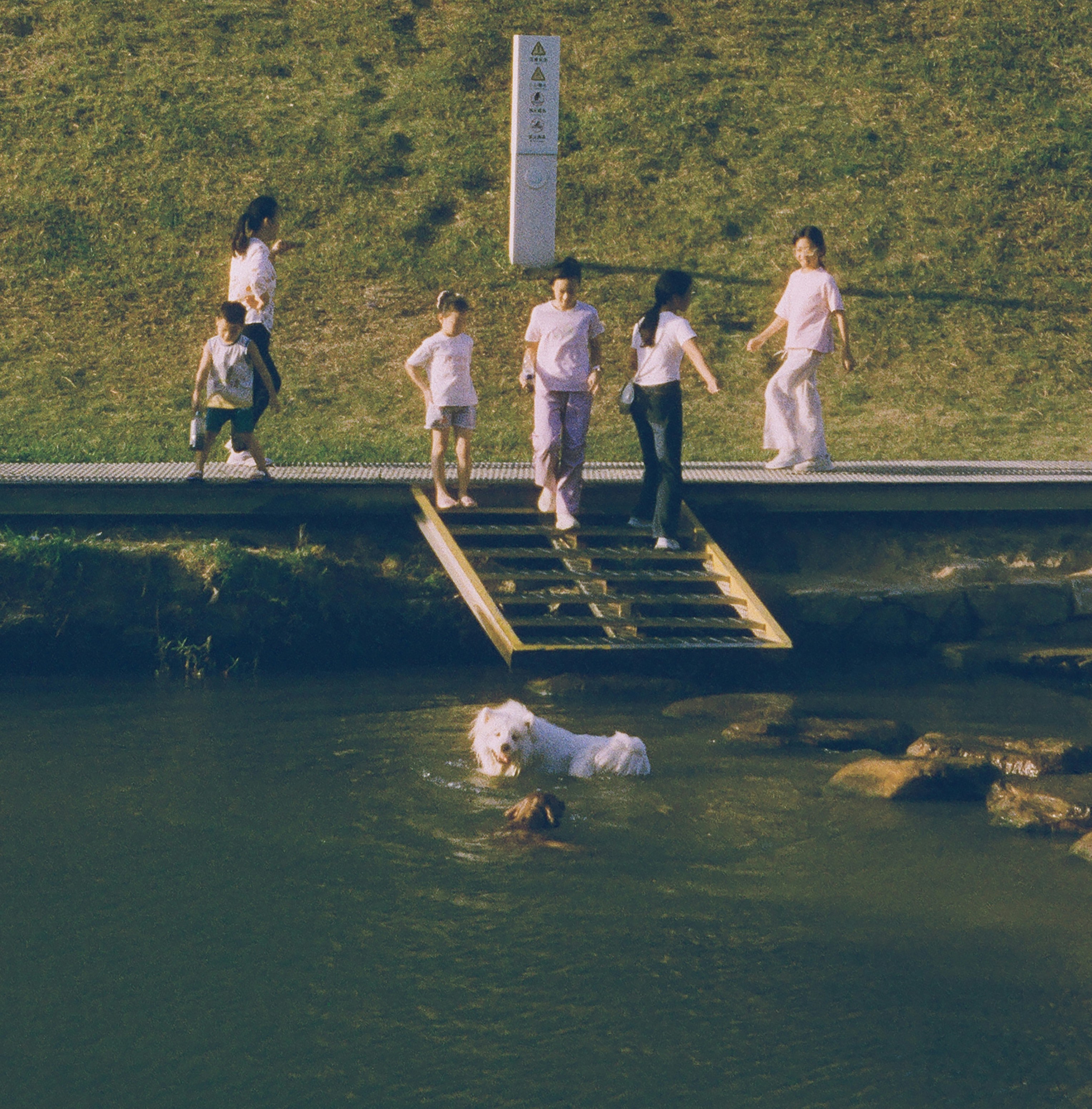 What a cozy afternoon.