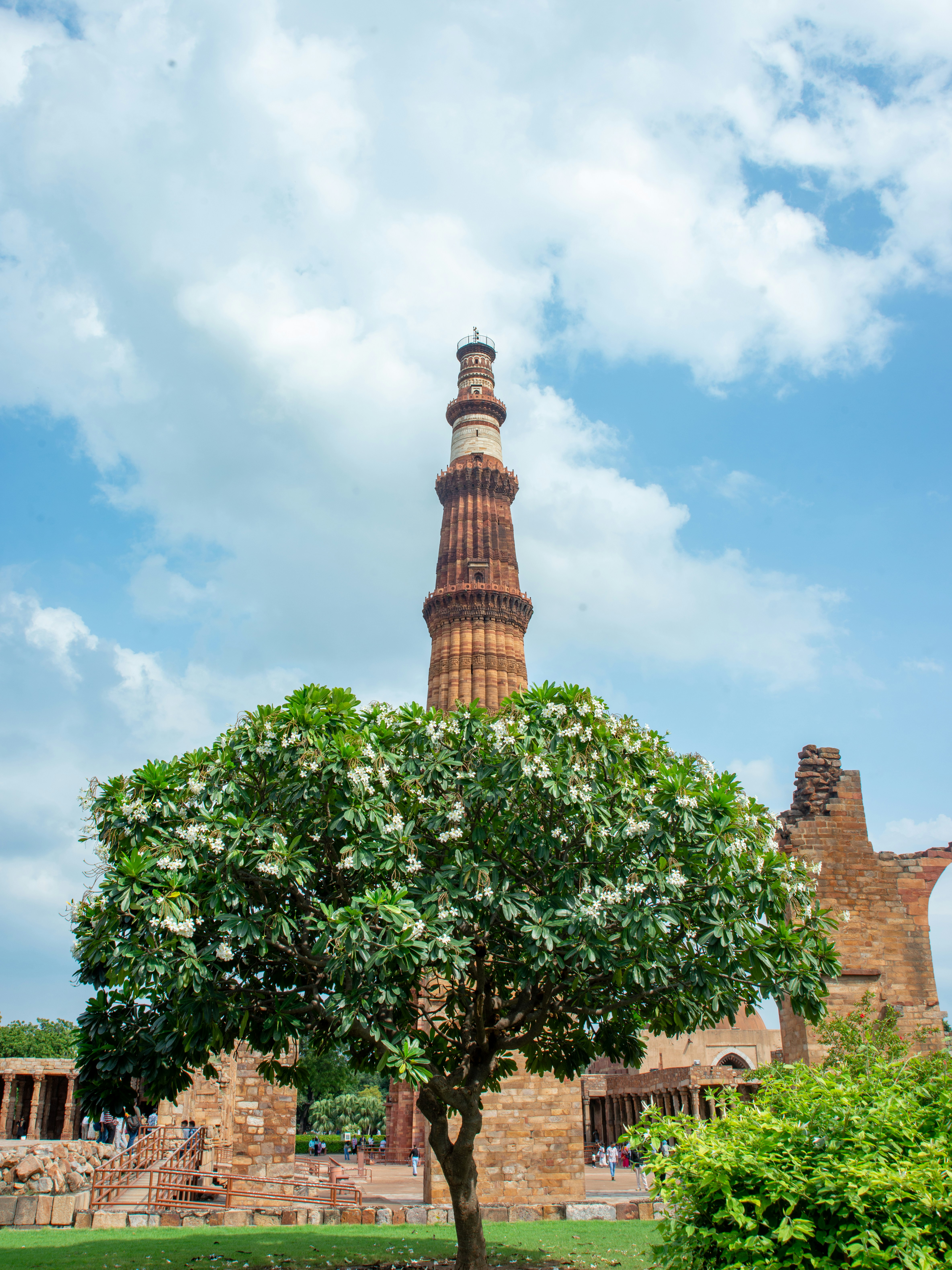 Qutub Minar: Heritage Rising Over a Lush Canopy