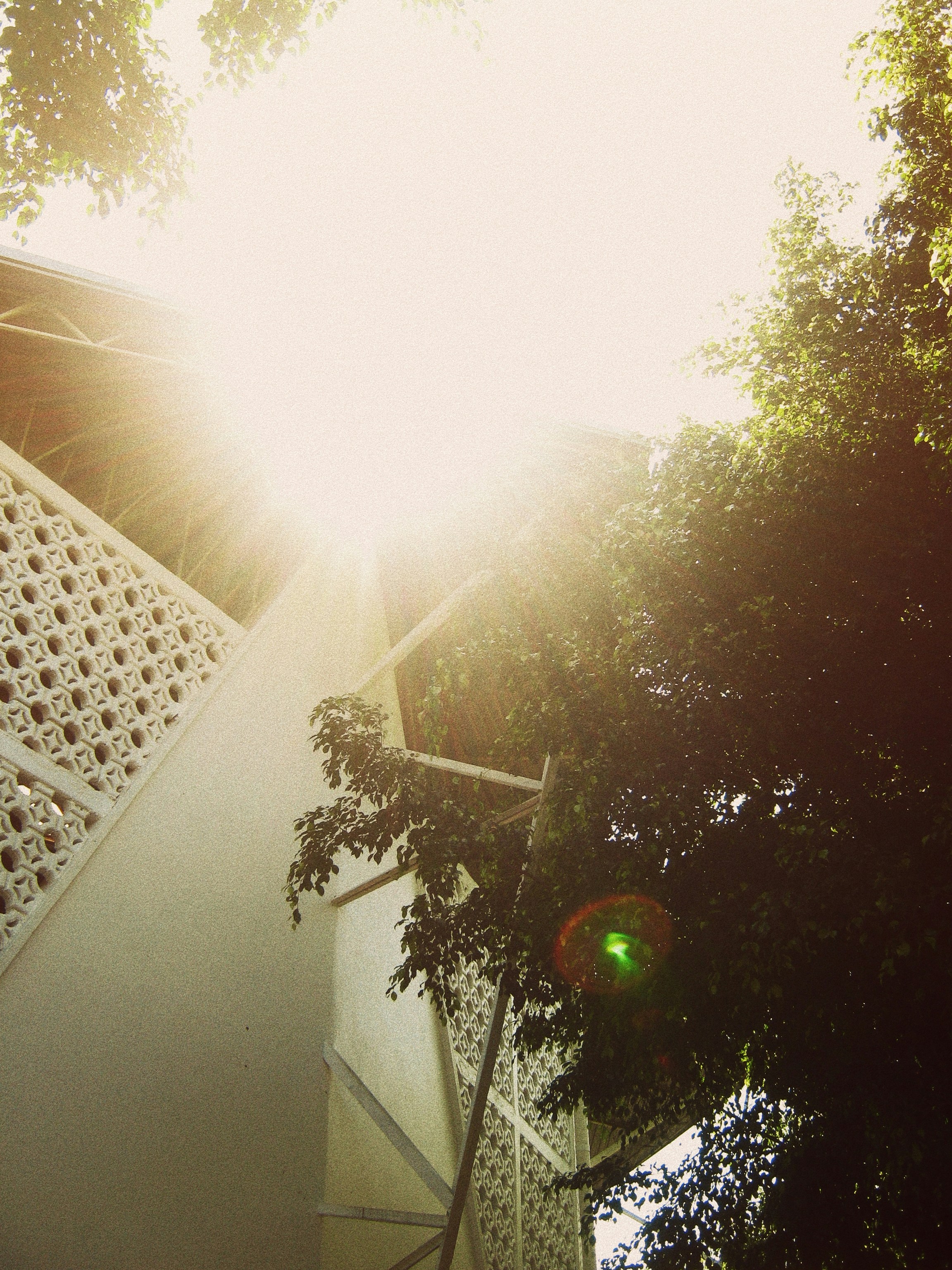 Sunlight shines through trees onto a building.