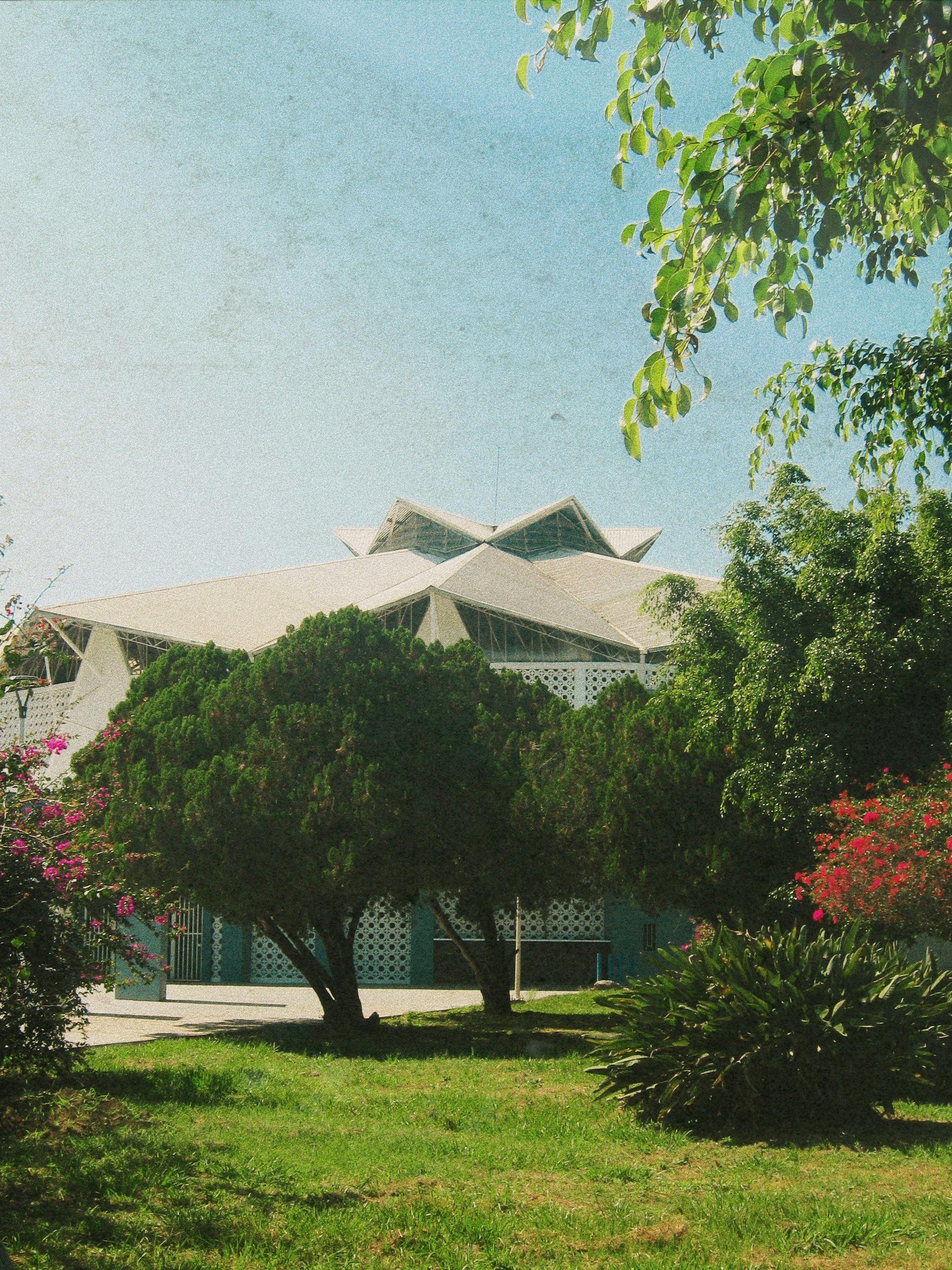 Modern building with geometric roof surrounded by trees