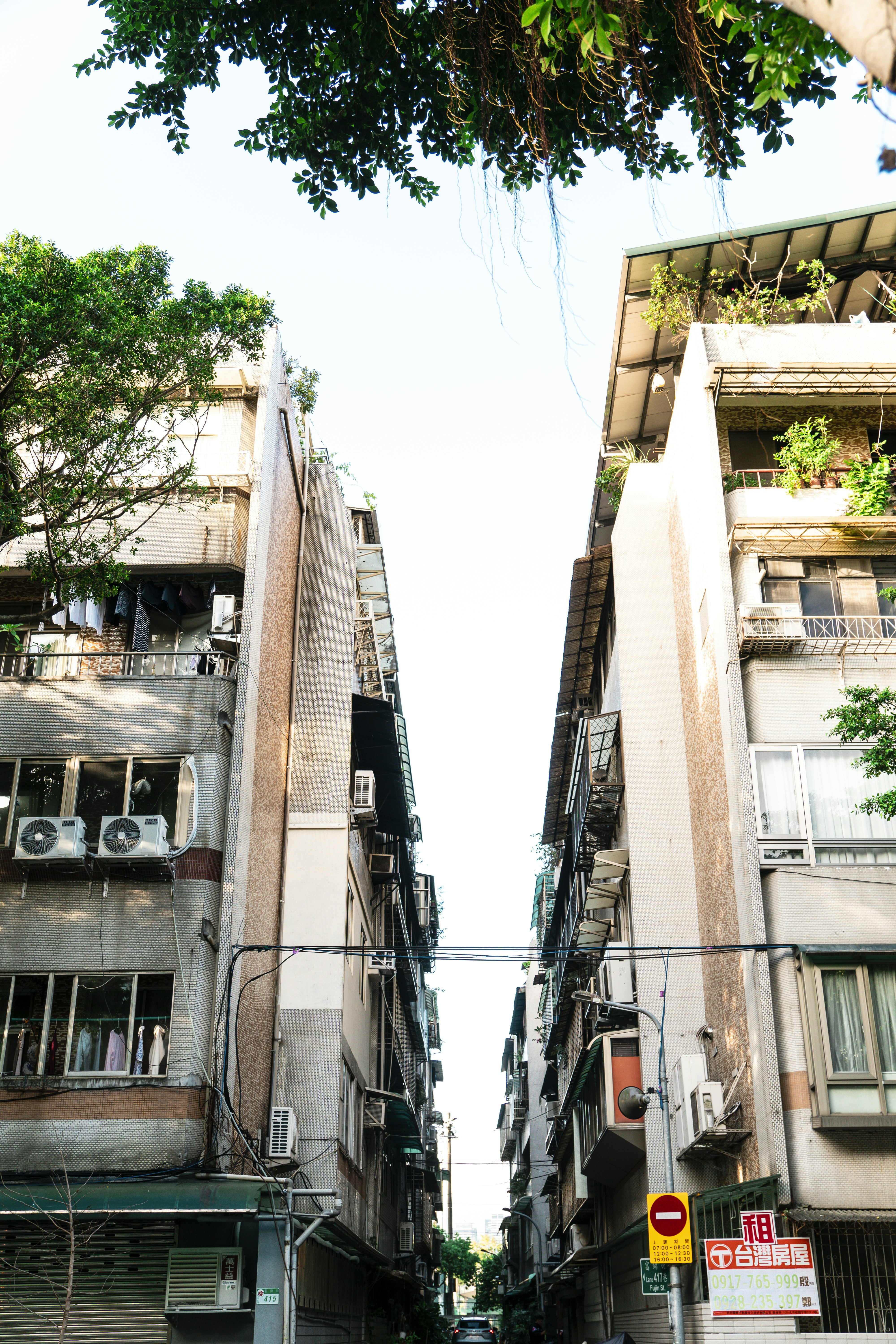 Photo by Trevor with Sony Alpha 6300